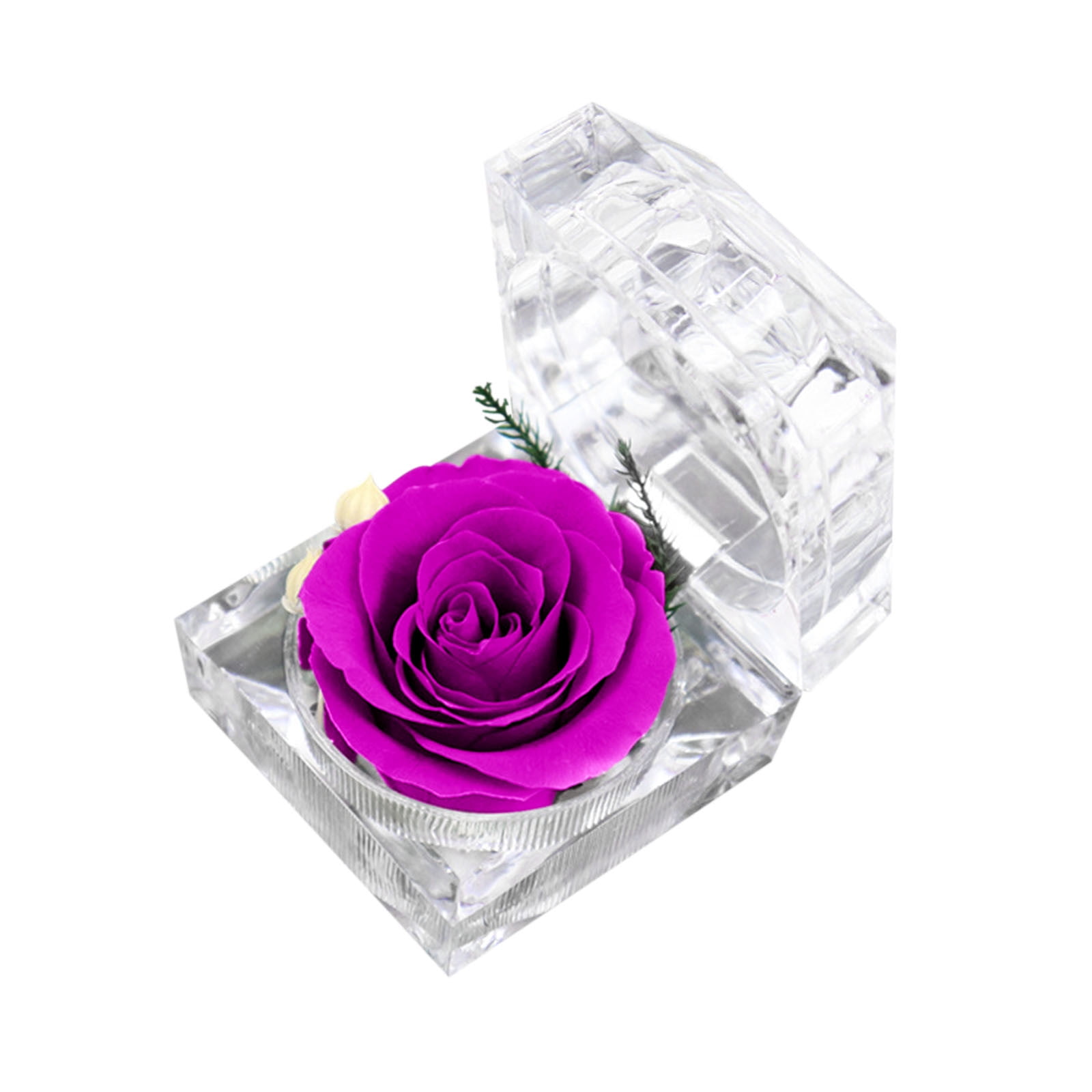 HINTSAN Rose Gifts for Women, Rose in Acrylic Crystal Ring Box ...