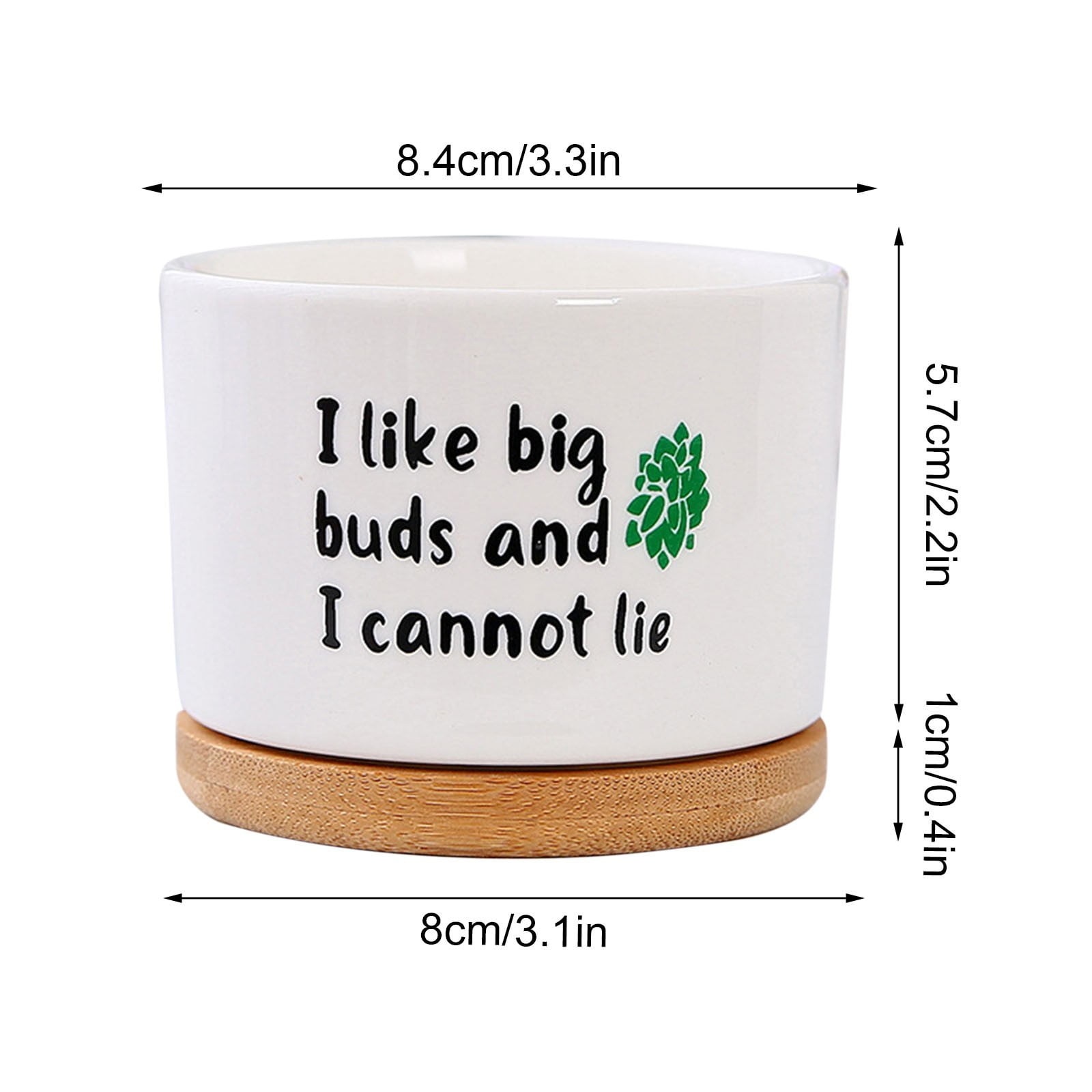 HINTSAN Succulent Pots, Ceramic Funny Planter Pots with Bamboo Tray ...