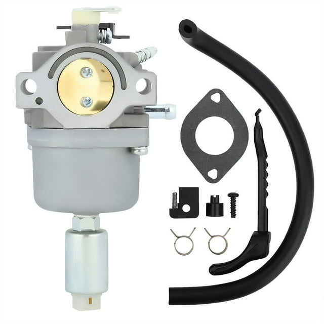 HIPA Carburetor for Briggs & Stratton 594593 591731 794572 796109 14.5 ...