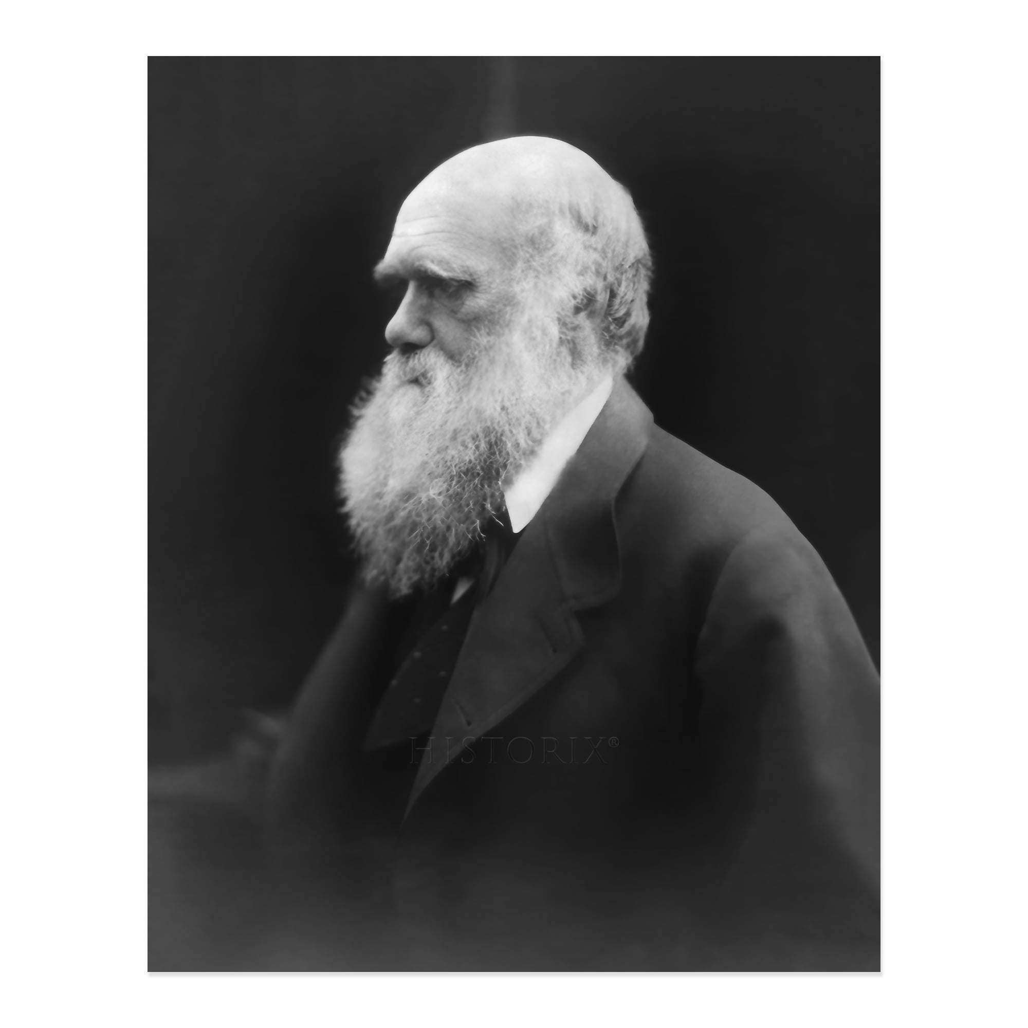 HISTORIX Vintage 1870 Charles Darwin Photo Print - Vintage Photo of ...