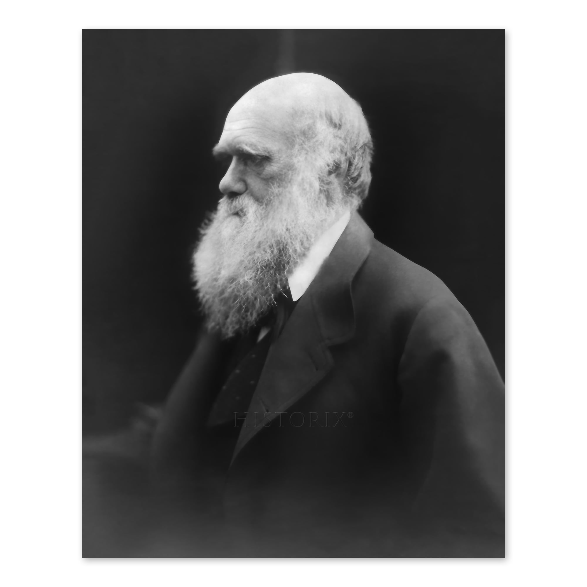HISTORIX Vintage 1870 Charles Darwin Photo Print - Vintage Photo of ...