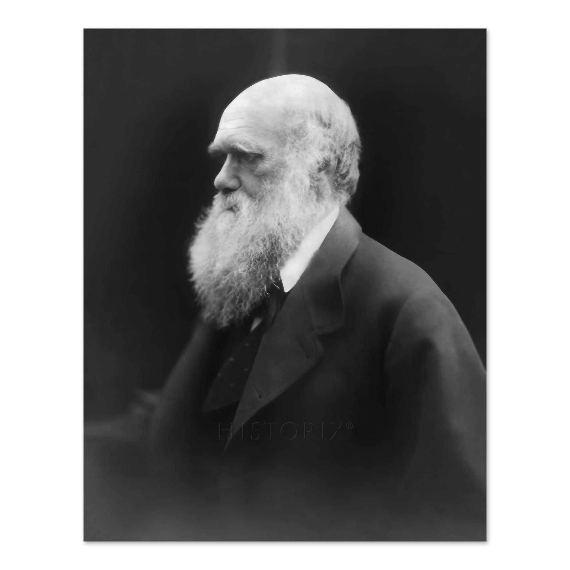 HISTORIX Vintage 1870 Charles Darwin Photo Print - Vintage Photo of ...