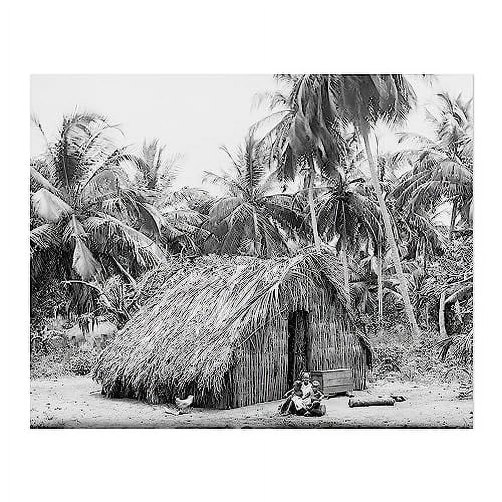 HISTORIX Vintage 1903 Typical Puerto Rican Hut Print Photo - 8x10 Inch ...