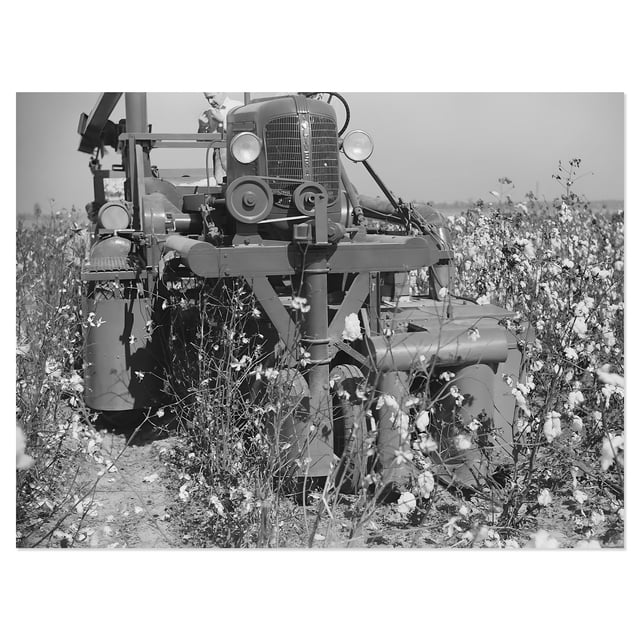 HISTORIX Vintage 1939 Rust Cotton Picker Photo Print - Old Photo of ...