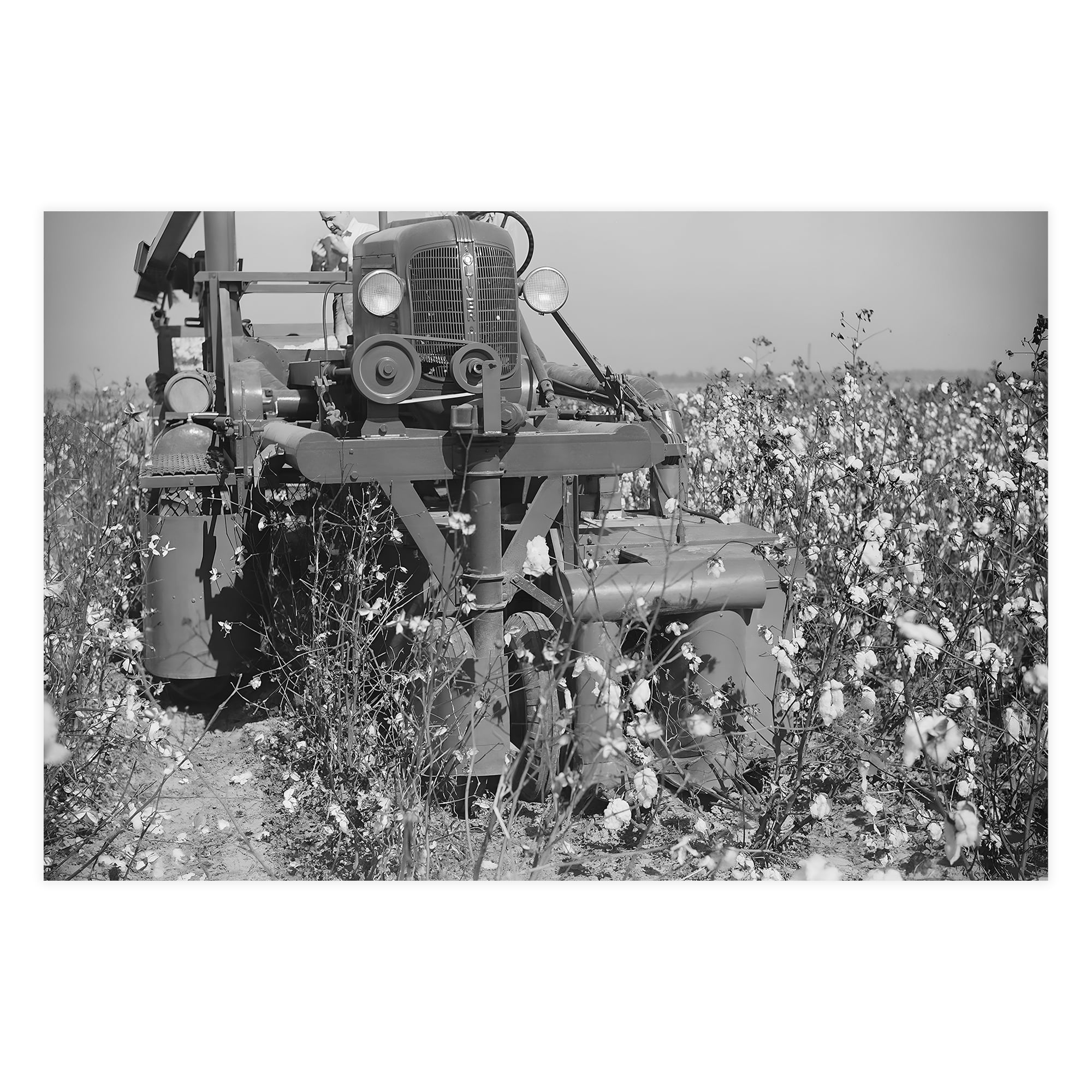 HISTORIX Vintage 1939 Rust Cotton Picker Photo Print - Old Photo of ...