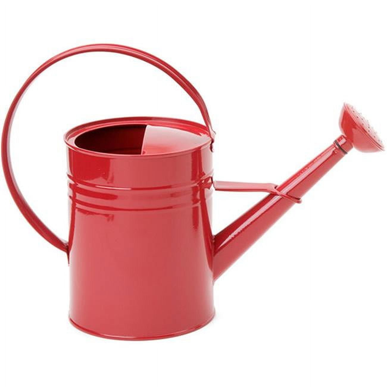 HIT 8582E XR 1 gal Enameled Galvanized Steel Watering Can with ...