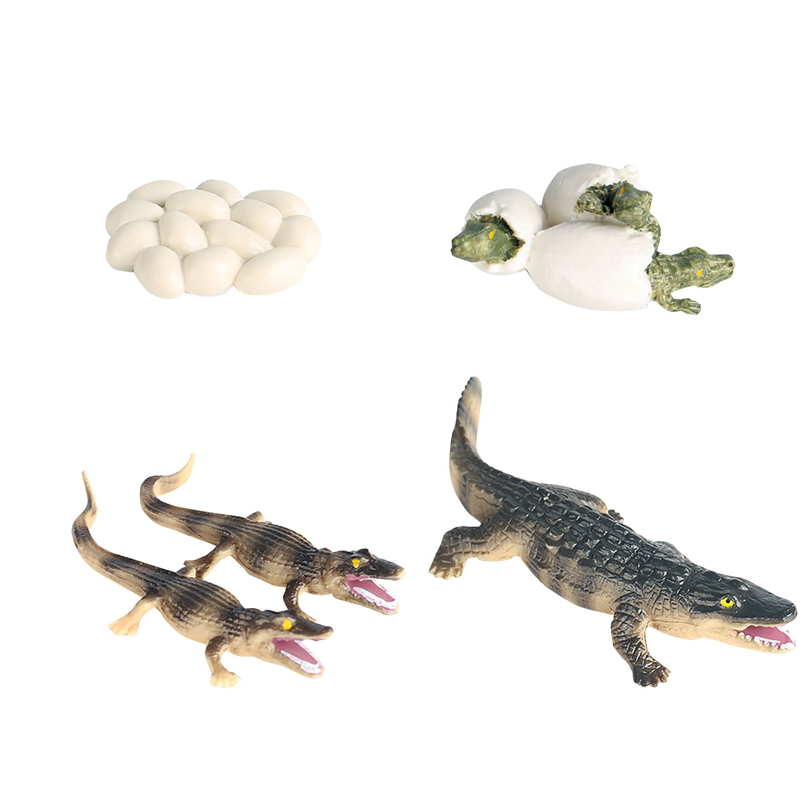 HJJLRH Life Cycle Animal Figurines Learning & Education Toys, Plastic ...