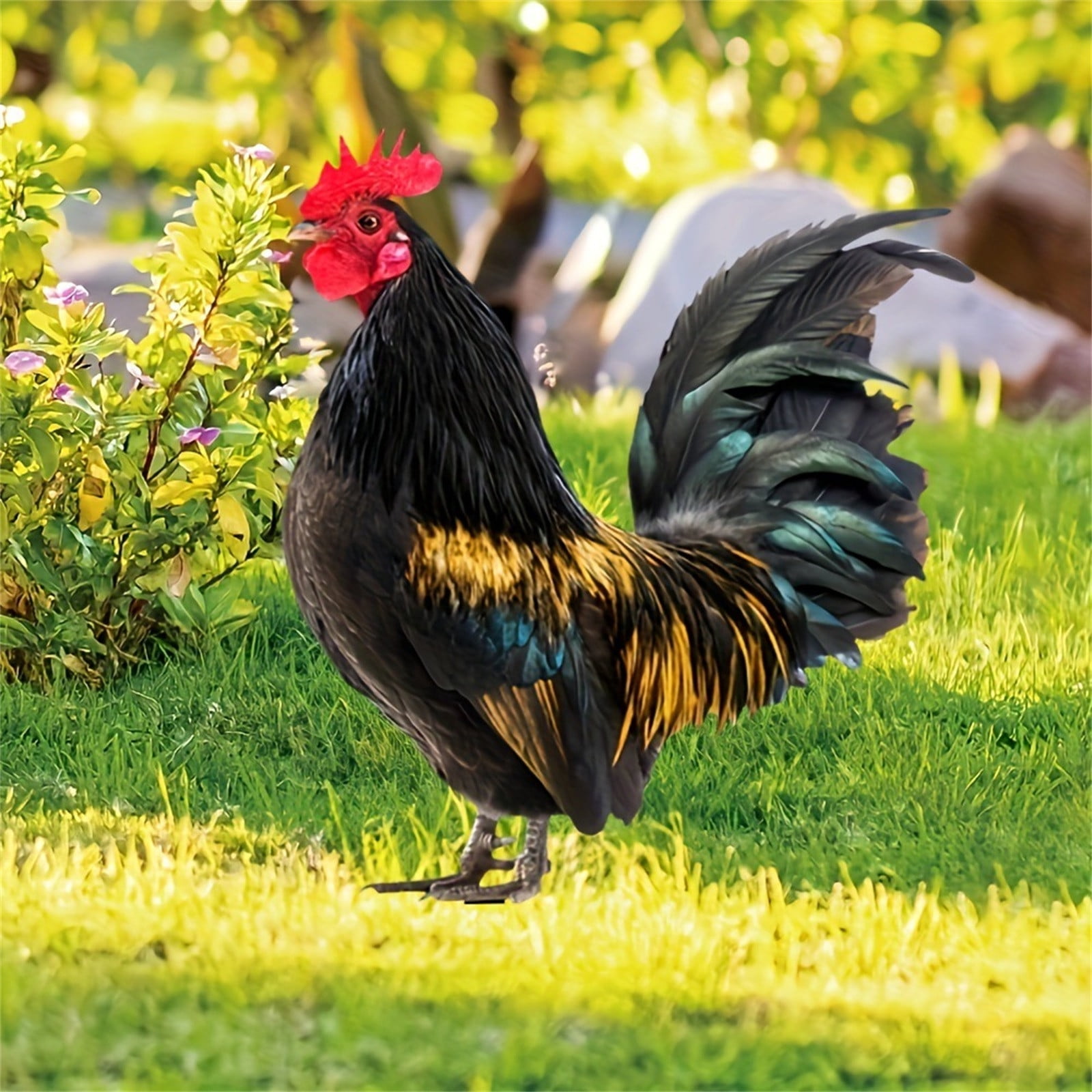 HKEJIAOI Home Essentials Iron Sheet Rooster Decoration Decorations Garden Decoration Decorations ...