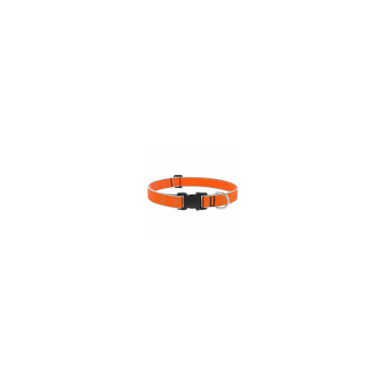 Lupine HL 1 In. Orange Diamond 12 to 20 In. Adjustable Collar 48352 ...