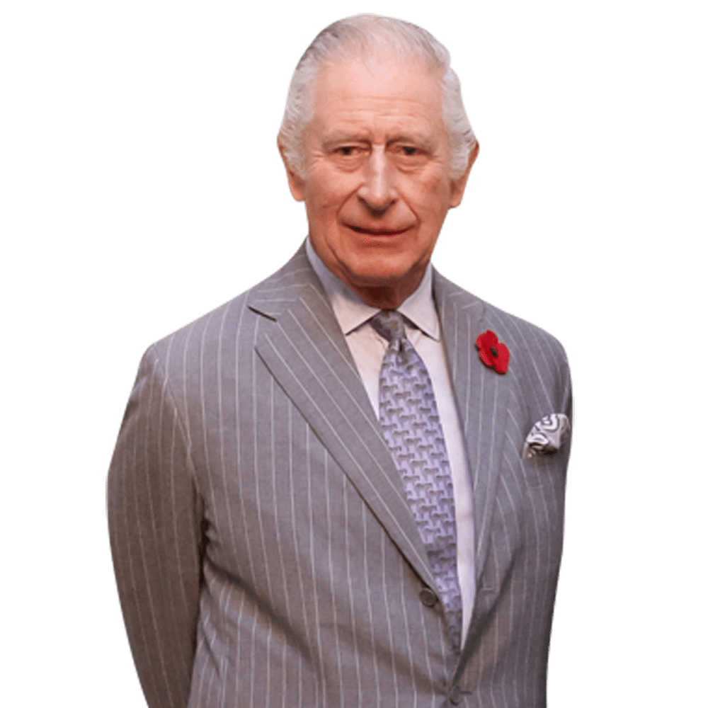 HM King Charles III (Grey Suit) Half Body Buddy Cutout - Walmart.com