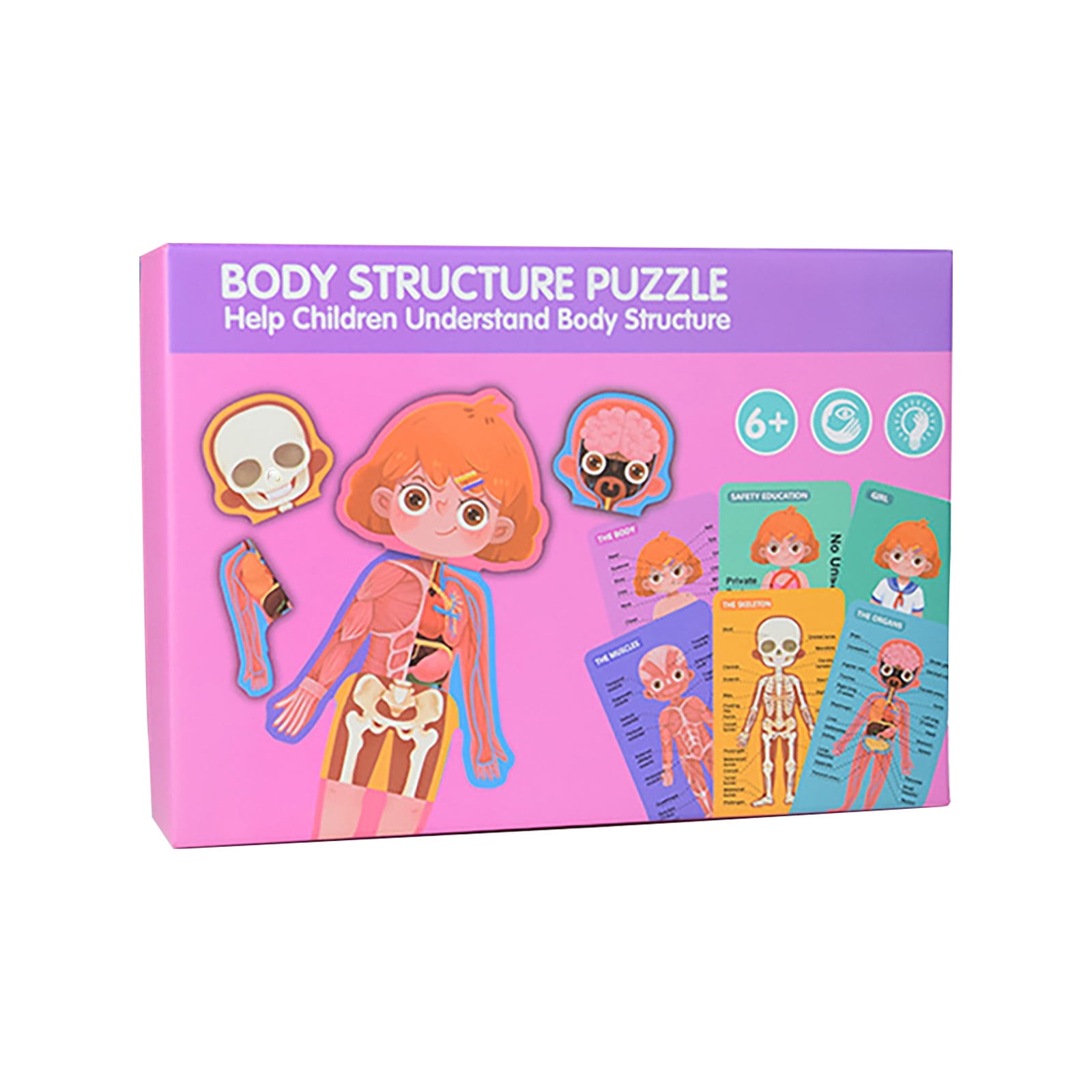 HMPEAIIY Human Body Model For Kids Juniors Puzzles Human Anatomy Puzzle ...