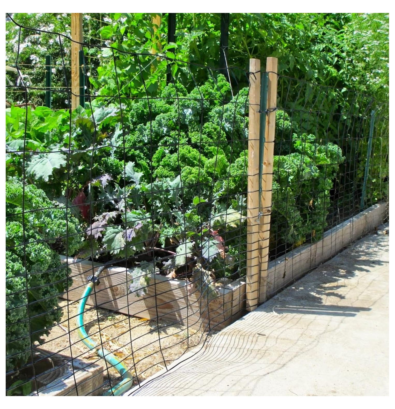 HMTtie Black Vinyl Coated 16 Gauge Rabbit Guard Fence, Poultry Outdoor ...