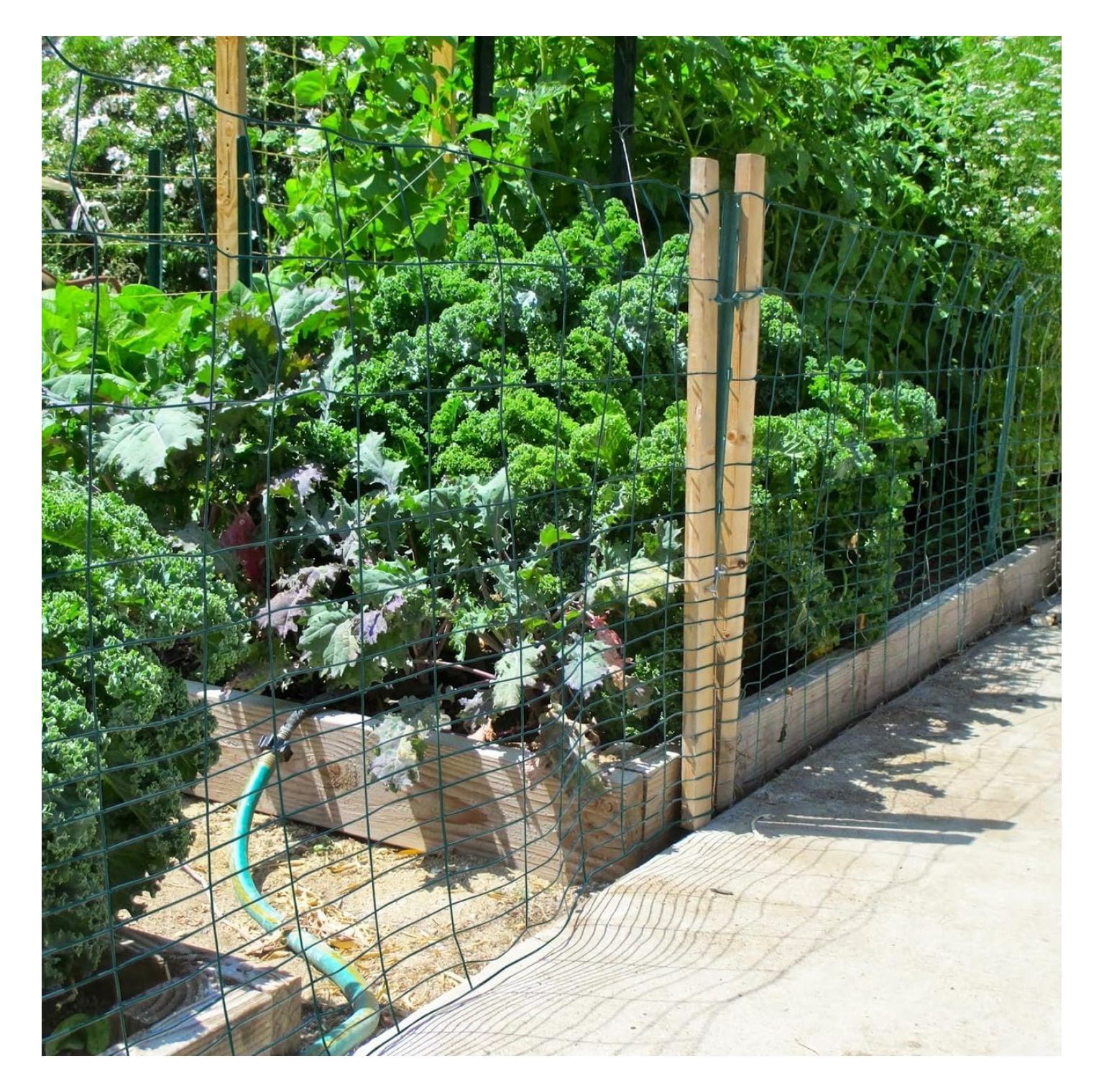 HMTtie Green Vinyl Coated 16 Gauge Rabbit Guard Fence, Poultry Outdoor ...