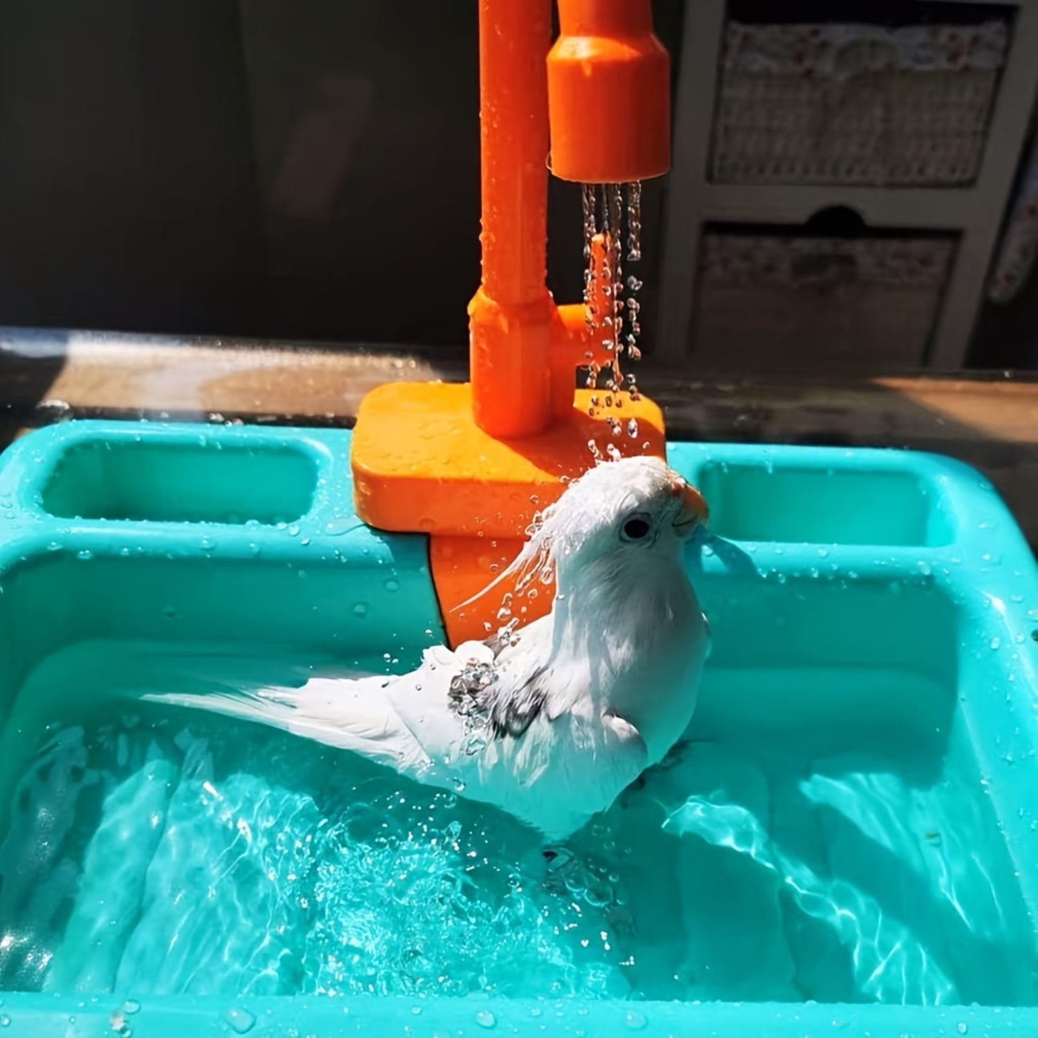 HNSHILP Automatic Parrot Bath Tub and Faucet - Deluxe Bird Shower and ...