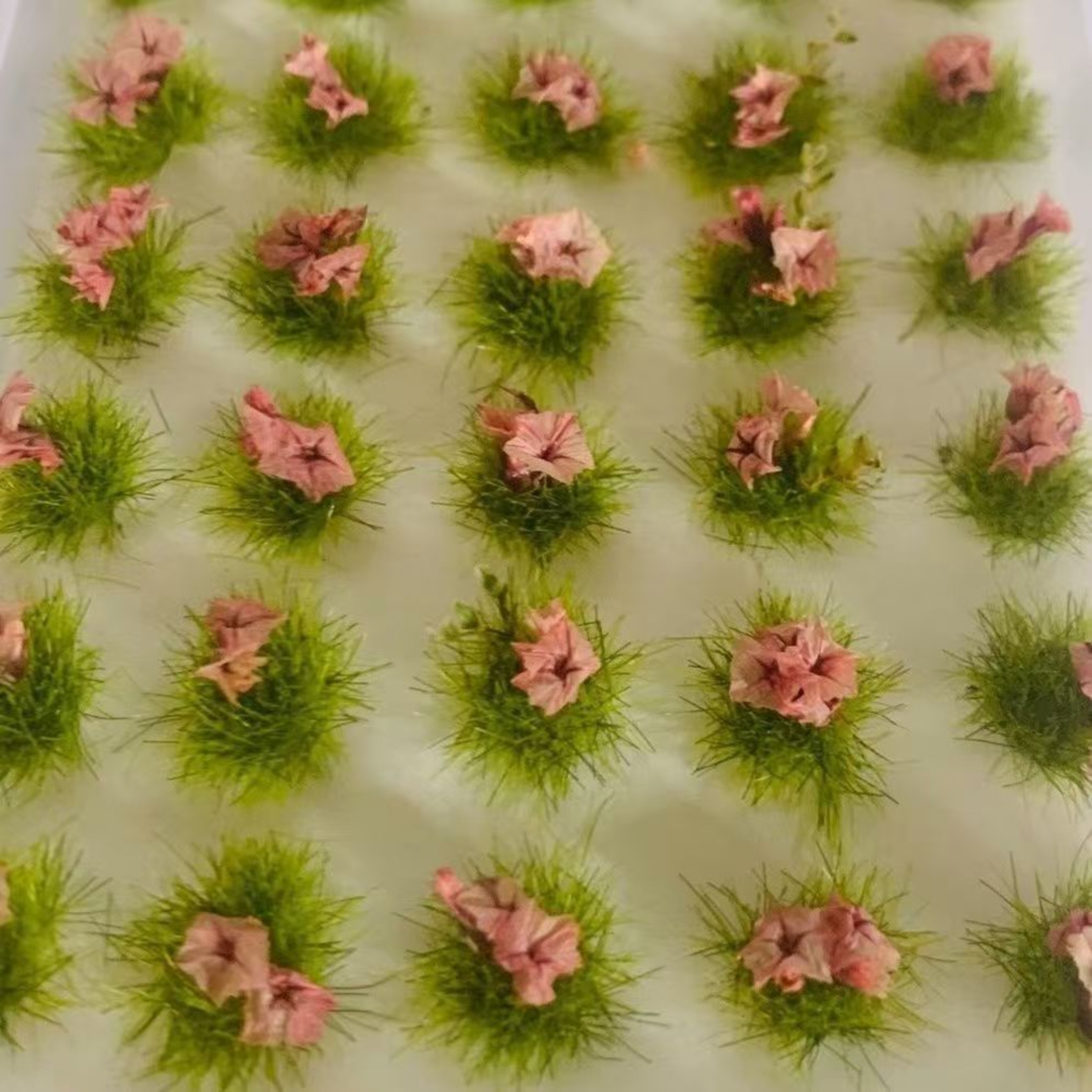 HO/OO scale pink flower cluster miniature model garden plant railway ...