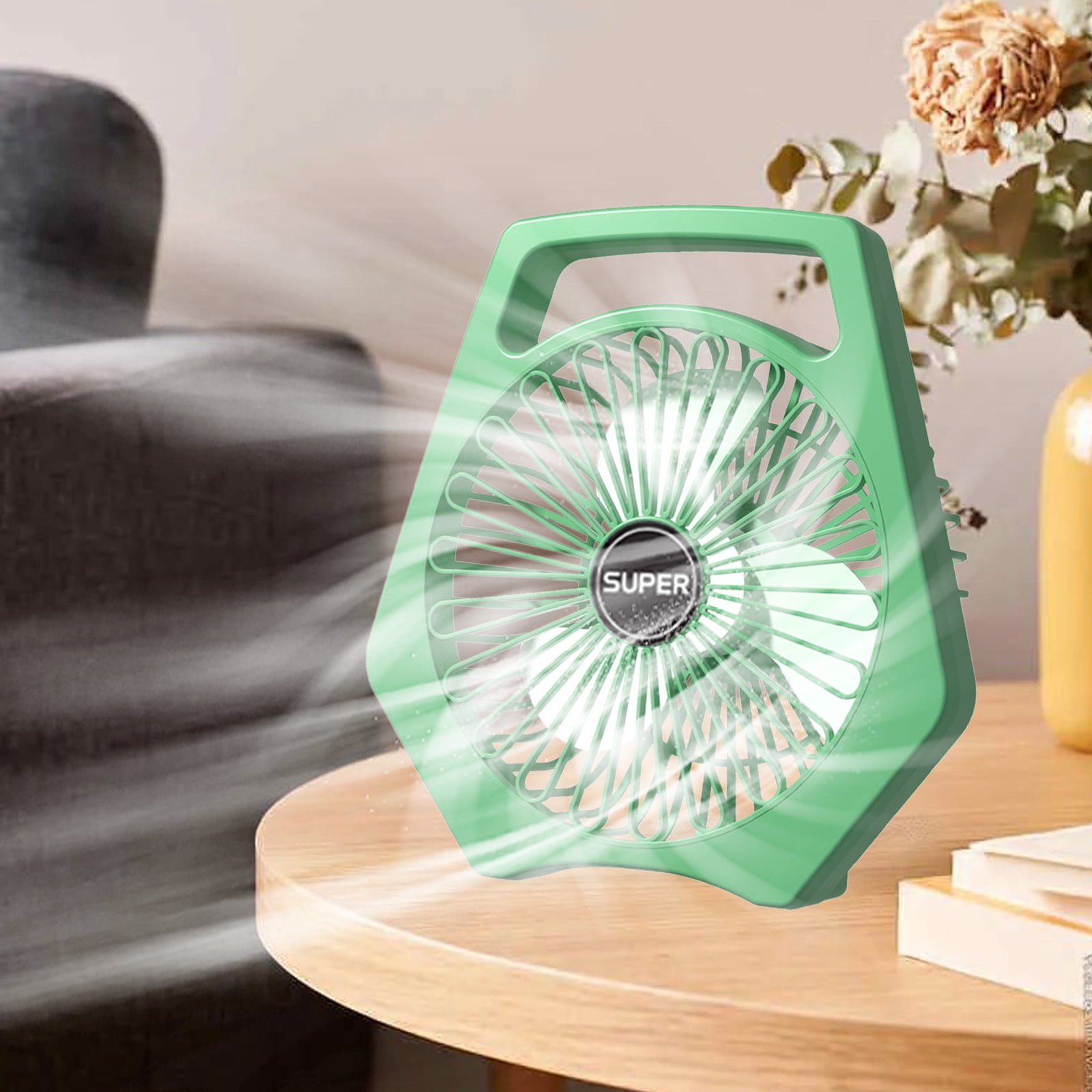 HOARBOEG Desk Fans for Office Quiet 3-Speed Desktop Fan Electric USB ...