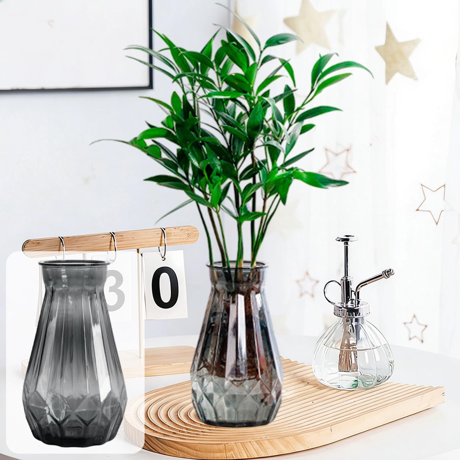 HOARBOEG Transparent Hydroponic Planter Vase, Self-Watering Plastic ...