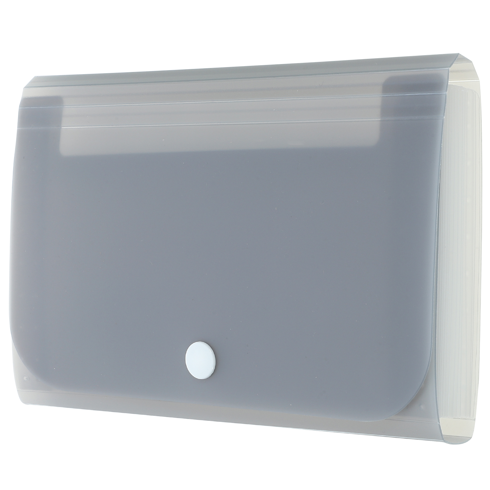 HOKARUA File Folder Plastic Accordion Folder Small Accordion File ...