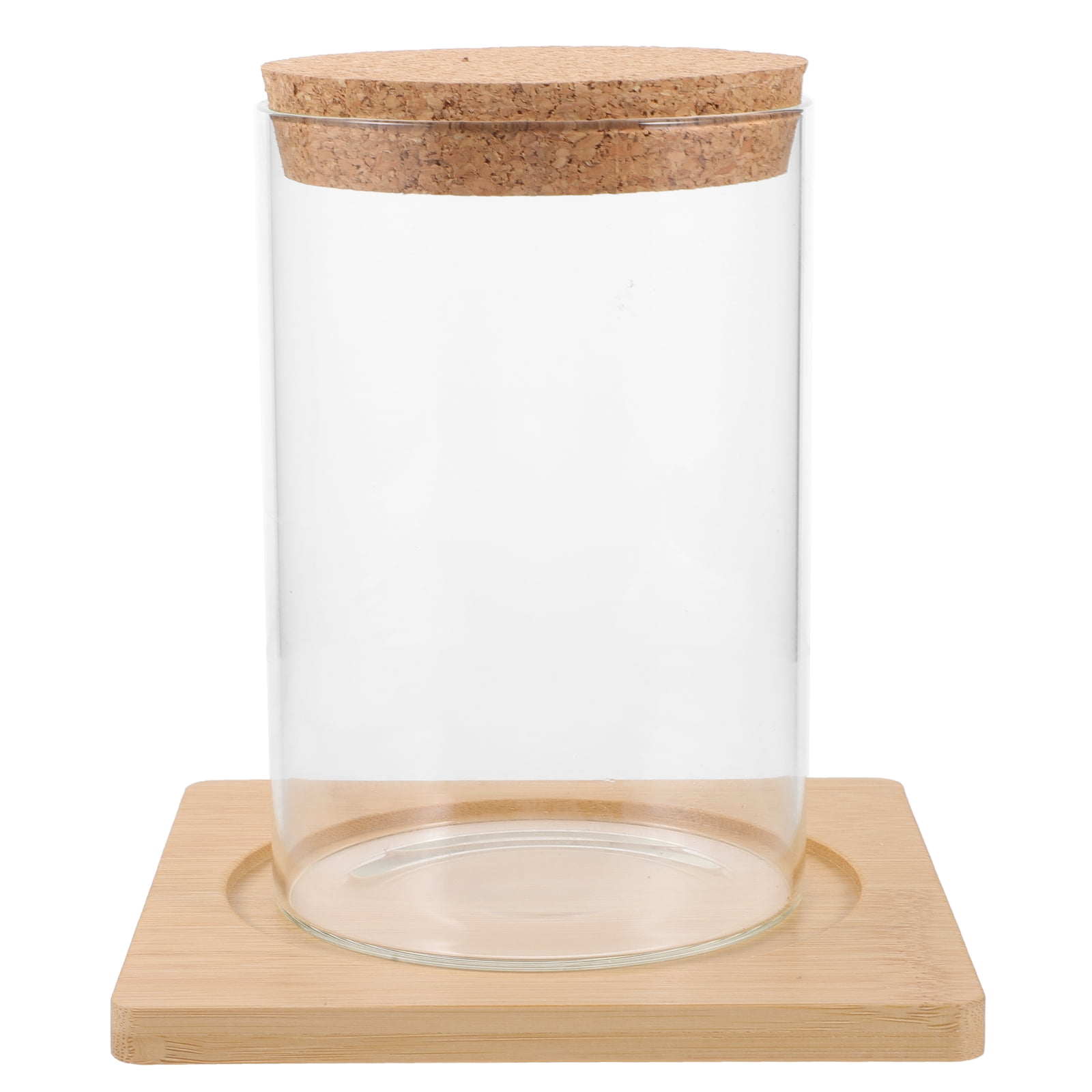 HOKARUA Glass Plant Terrarium Tabletop Glass Planter Hydroponic Plants ...