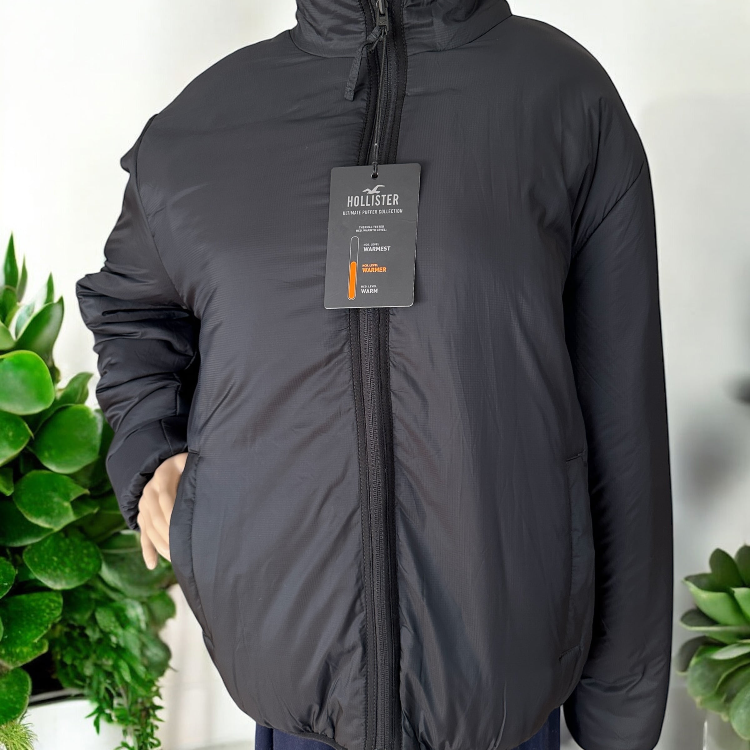 Windbreaker Hollister