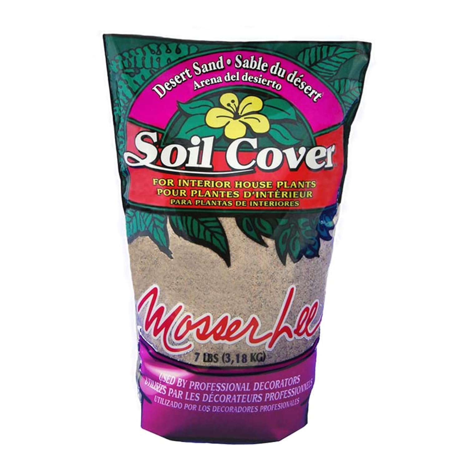 HOME GROWN Catnip Seeds HMF23 (2 Pack) 𝗡𝗢𝗡-𝗚𝗠𝗢, 𝗨𝗦𝗔-𝗦𝗢𝗨𝗥𝗖𝗘𝗗 Heirloom ...