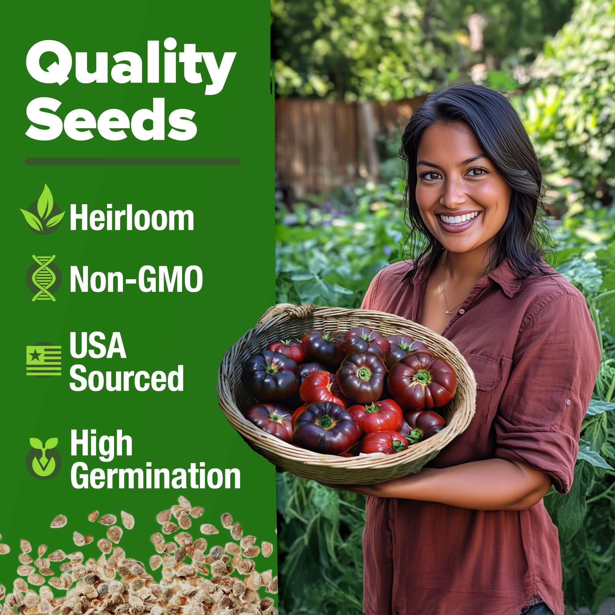 HOME GROWN Cherokee AJH3 Purple Tomato Seeds 2 Pack (Solanum ...