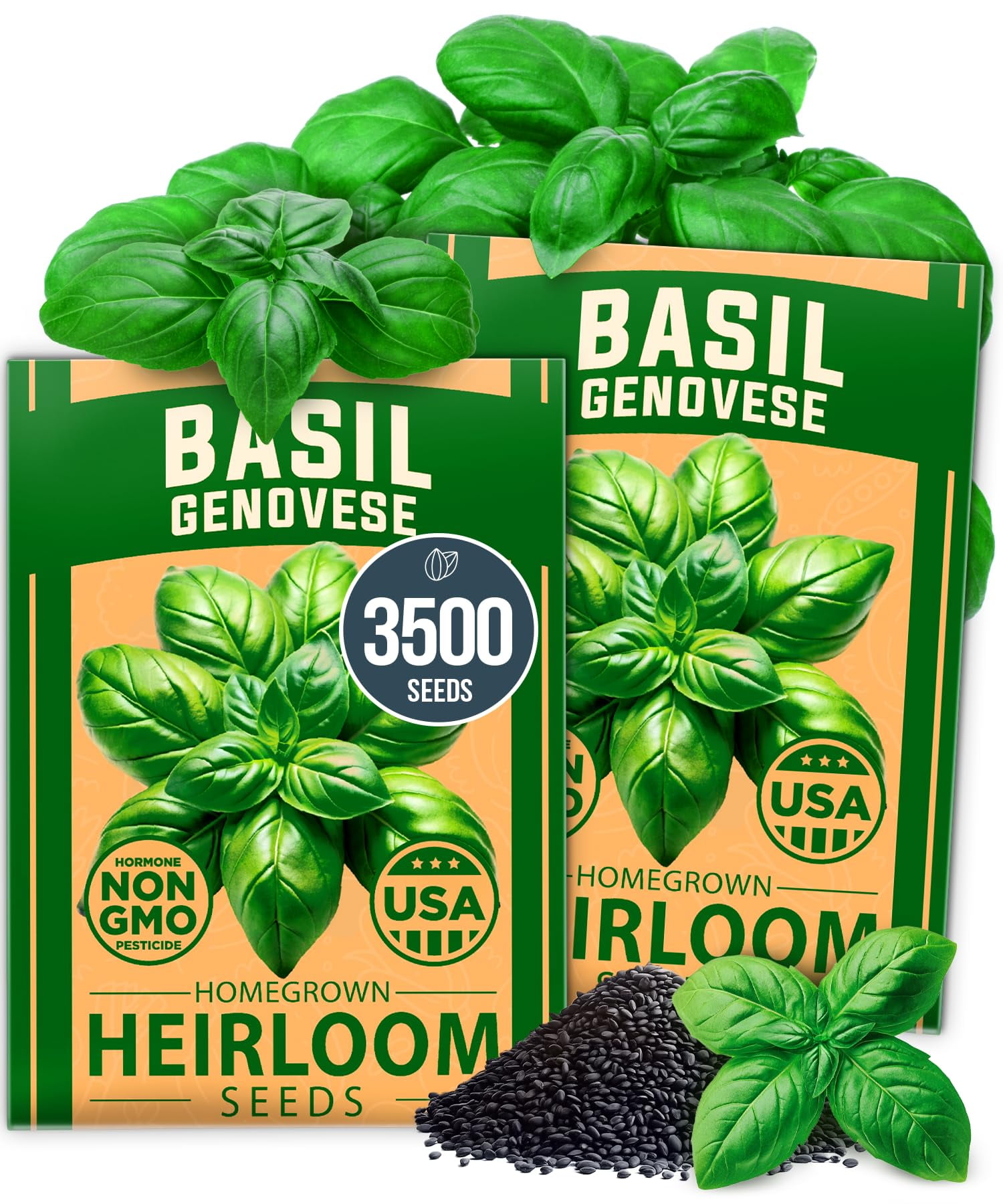 HOME GROWN Genovese Basil Seeds 2 MVR1 Pack - 3500 𝗡𝗢𝗡-𝗚𝗠𝗢 𝗨𝗦𝗔 Heirloom ...