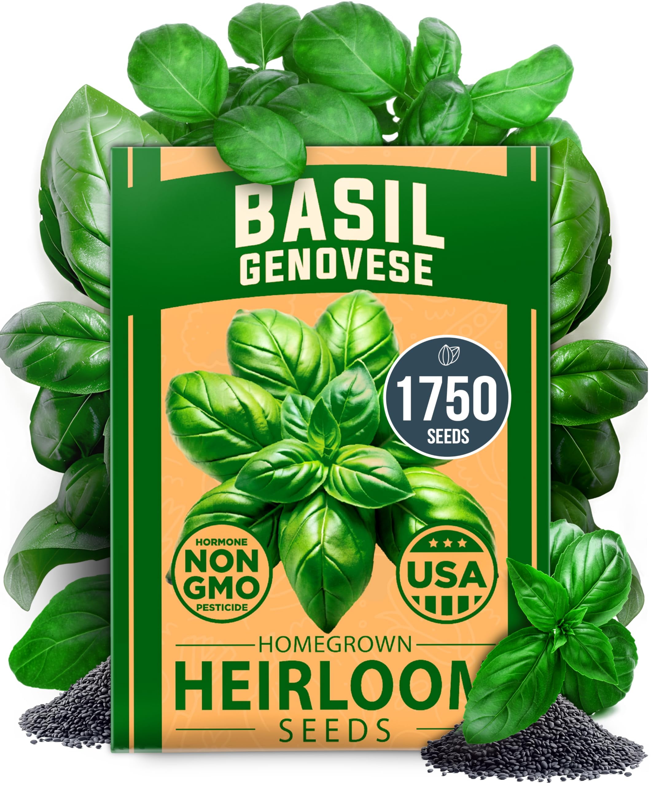 HOME GROWN Genovese Basil Seeds Pack BSL1 -1750 High Seeds (Ocimum ...