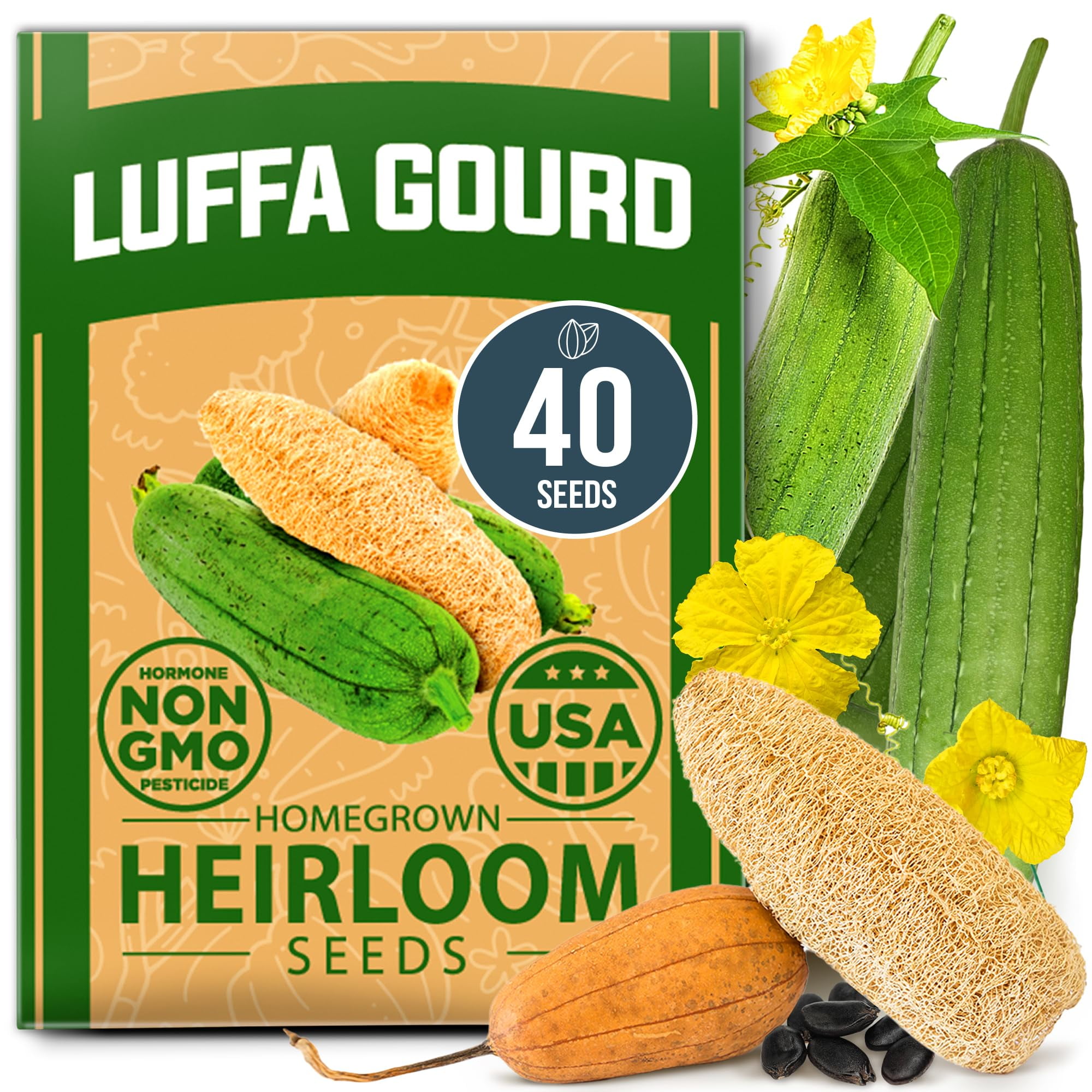 HOME GROWN Luffa TWE5 Seeds (Luffa aegyptiaca) 40 Heirloom 𝗡𝗢𝗡-𝗚𝗠𝗢,𝗨𝗦𝗔 ...