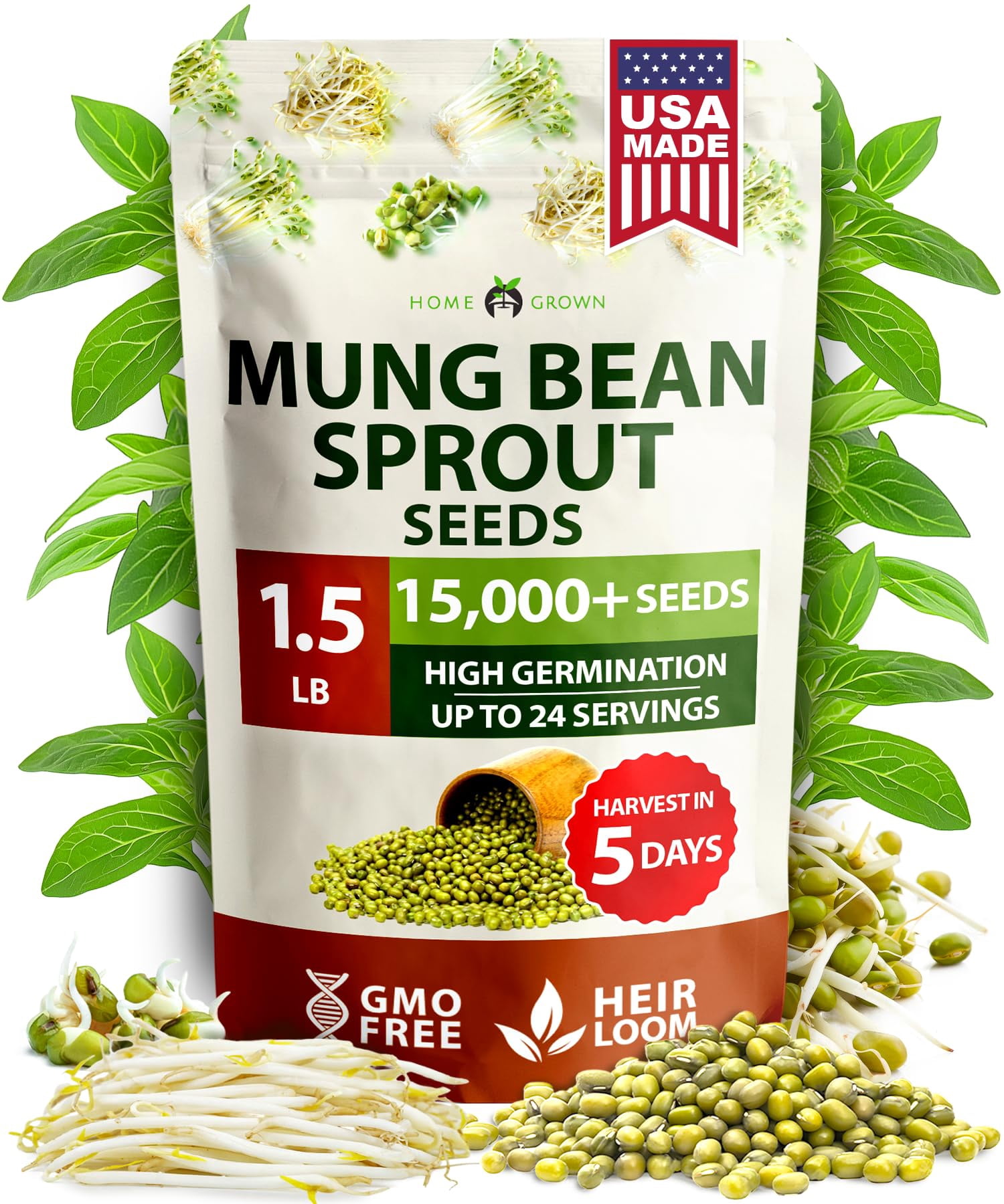 HOME GROWN Mung Beans Seeds Pack BSL1 (1.5 lbs) - 𝗨𝗦𝗔 Sprouting Seeds ...