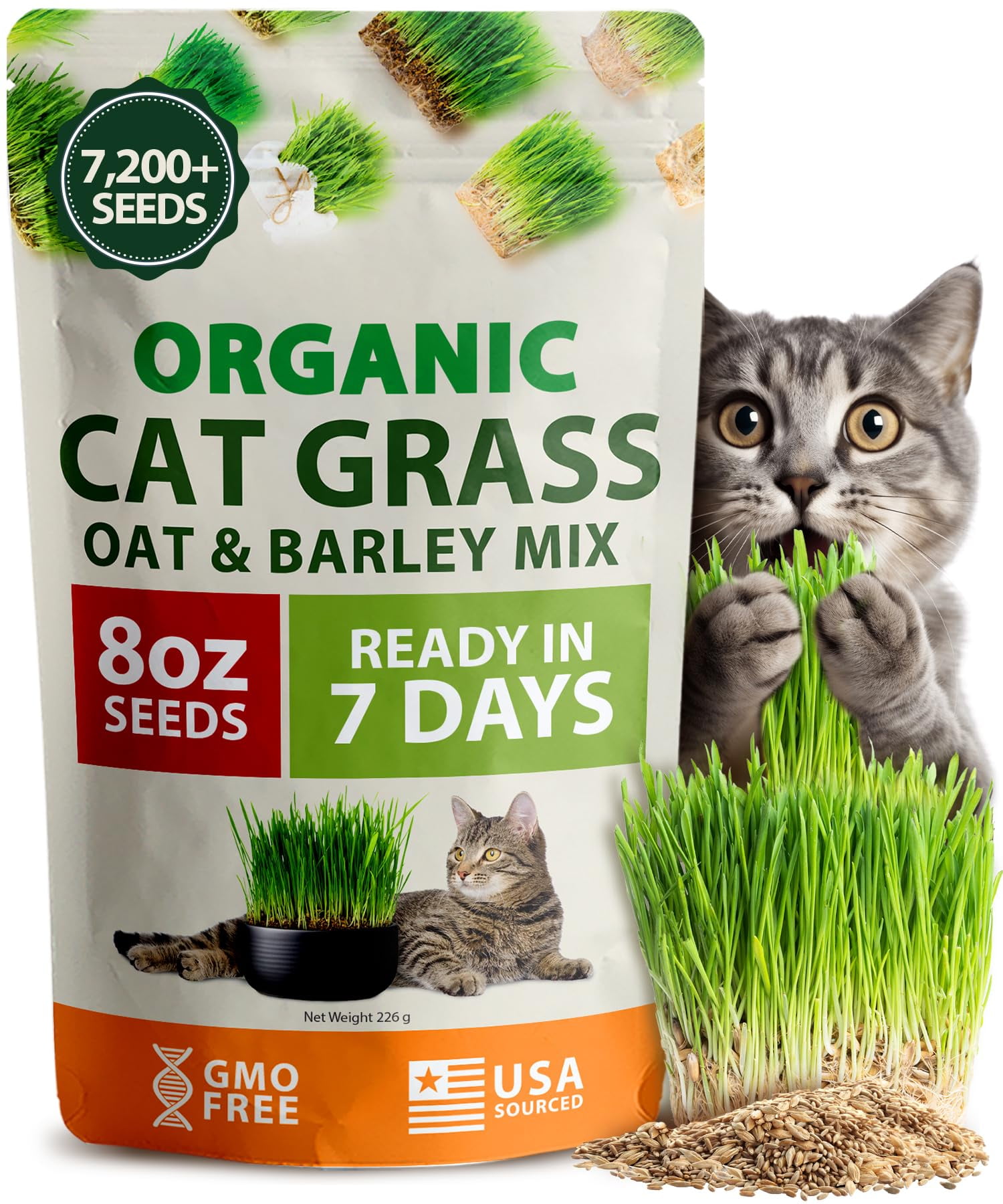 HOME GROWN Organic Cat Grass Seeds Pack (8oz) Non-GMO Heirloom Cat Grass Seeds for Indoor ...