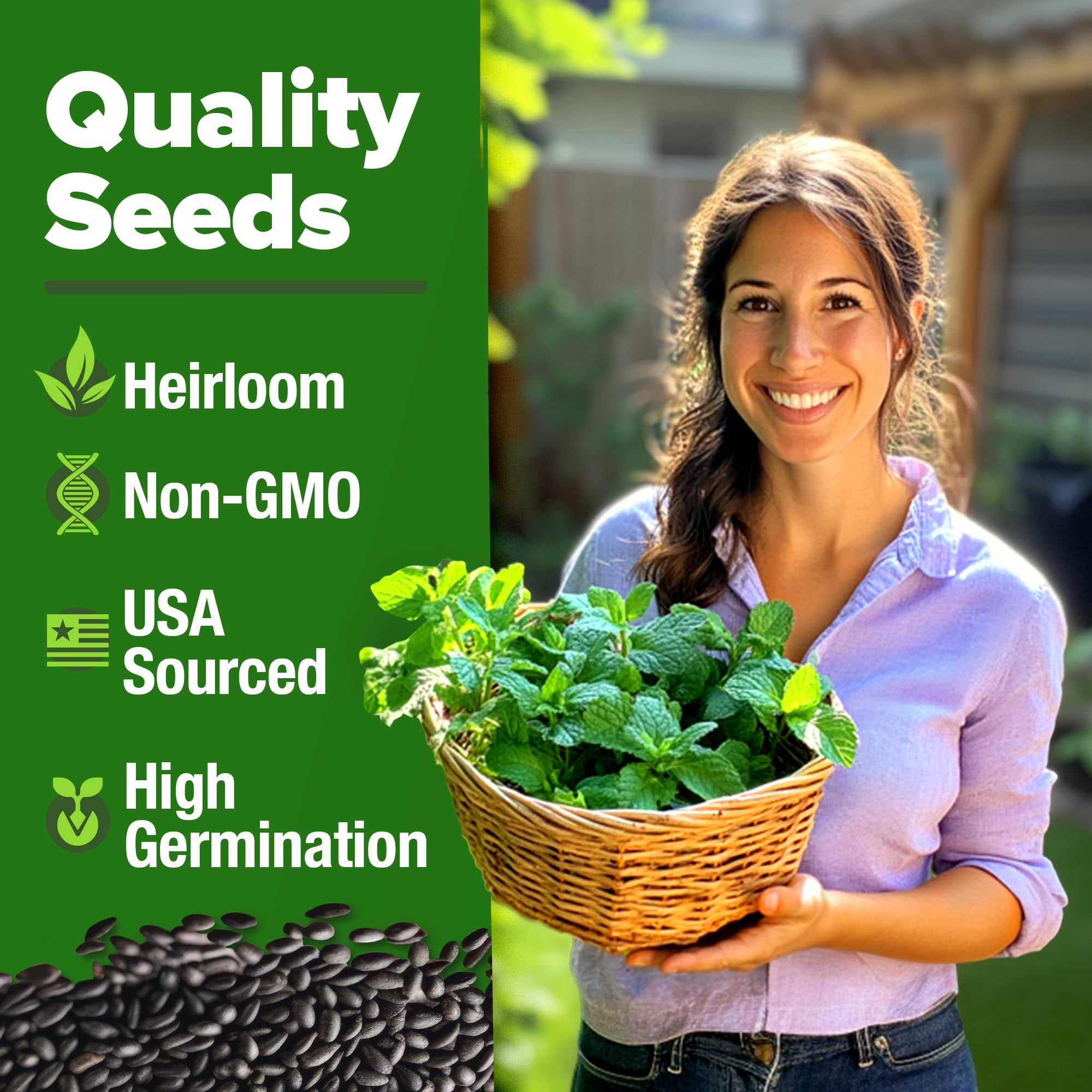 HOME GROWN Peppermint FEV6 Seeds Pack - 2,370 Non-GMO, Heirloom Mint ...
