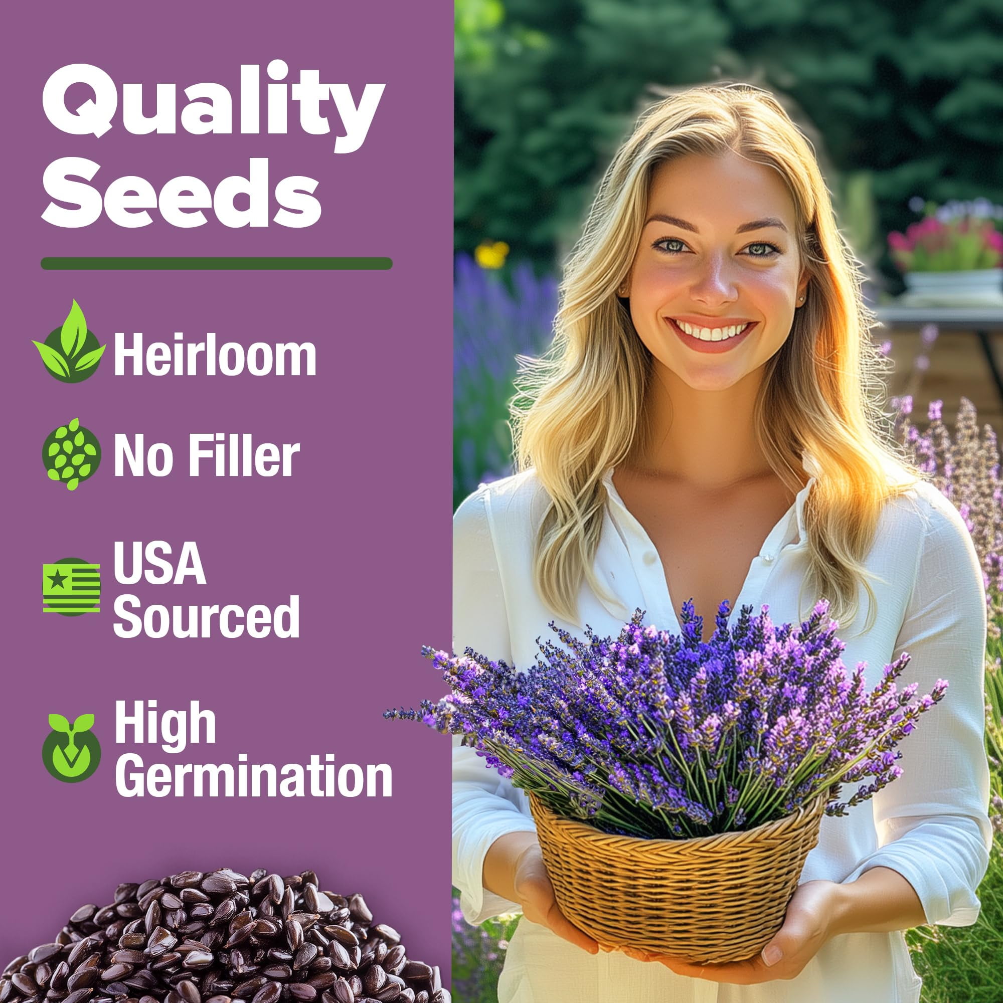 HOME GROWN Premium English Lavender Seeds 2 H2FSDPack, Non-GMO Herb Seeds, USA-Sourced ...