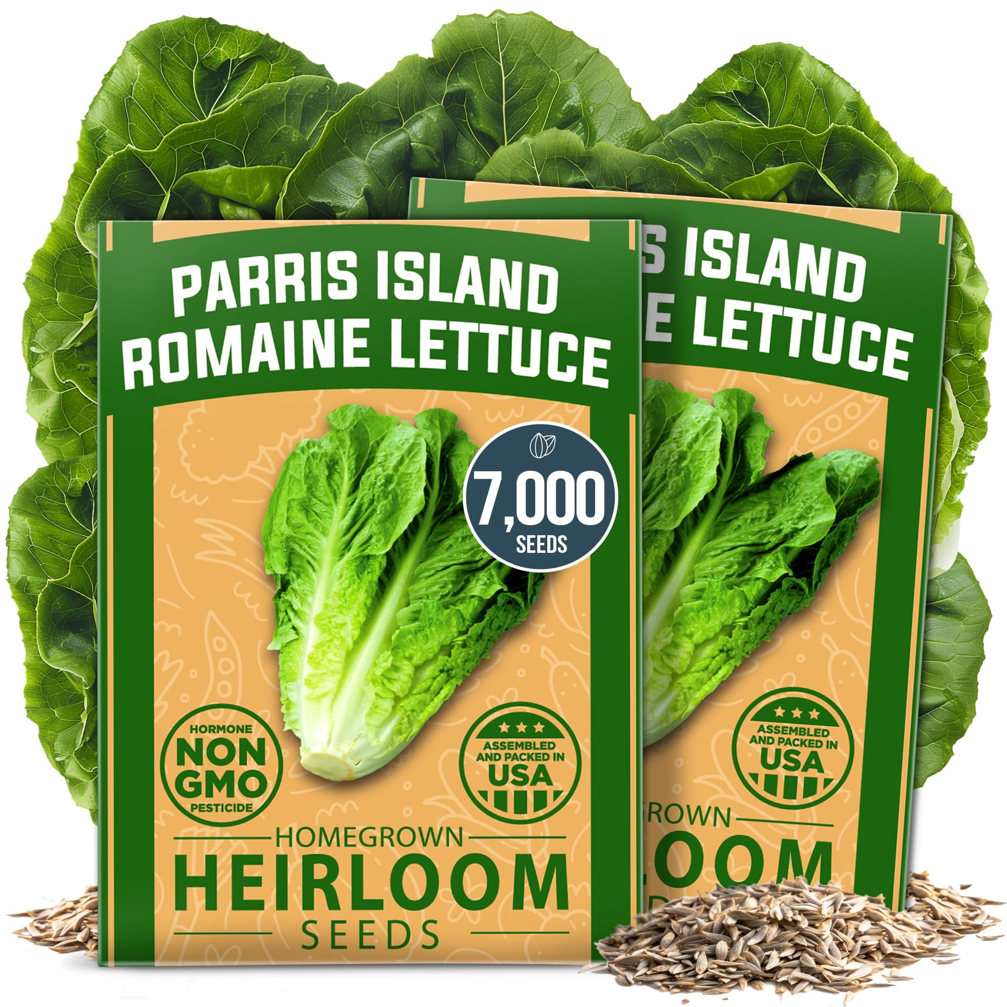 HOME GROWN Romaine Lettuce Seeds, Paris Island Bulk Pack, 7000+ Lettuce ...