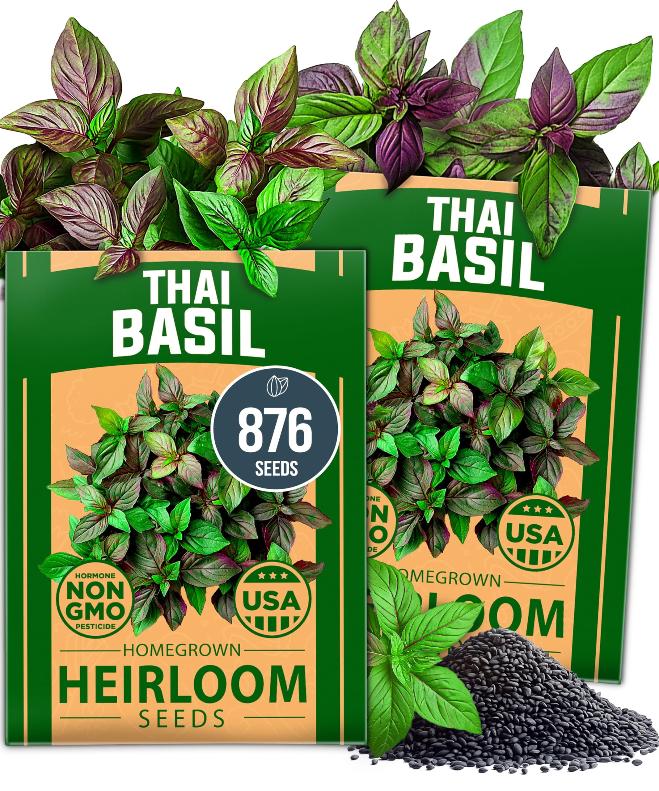HOME GROWN Thai Basil Seeds Pack MVR1 - 876 Heirloom Herb Seeds for ...