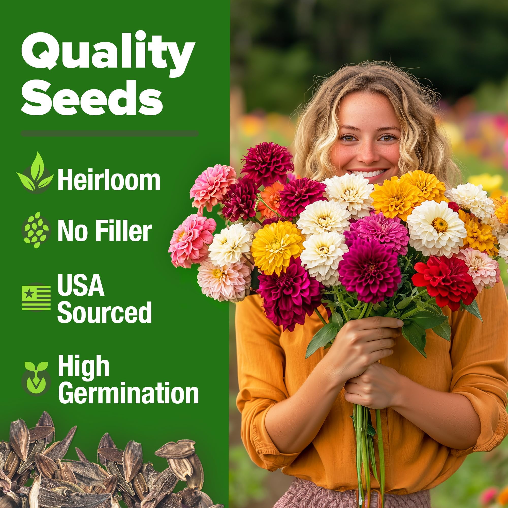 HOME GROWN Zinnia AJH3 Dahlia Seeds Pack- Bulk Flower Seeds to Plant ...