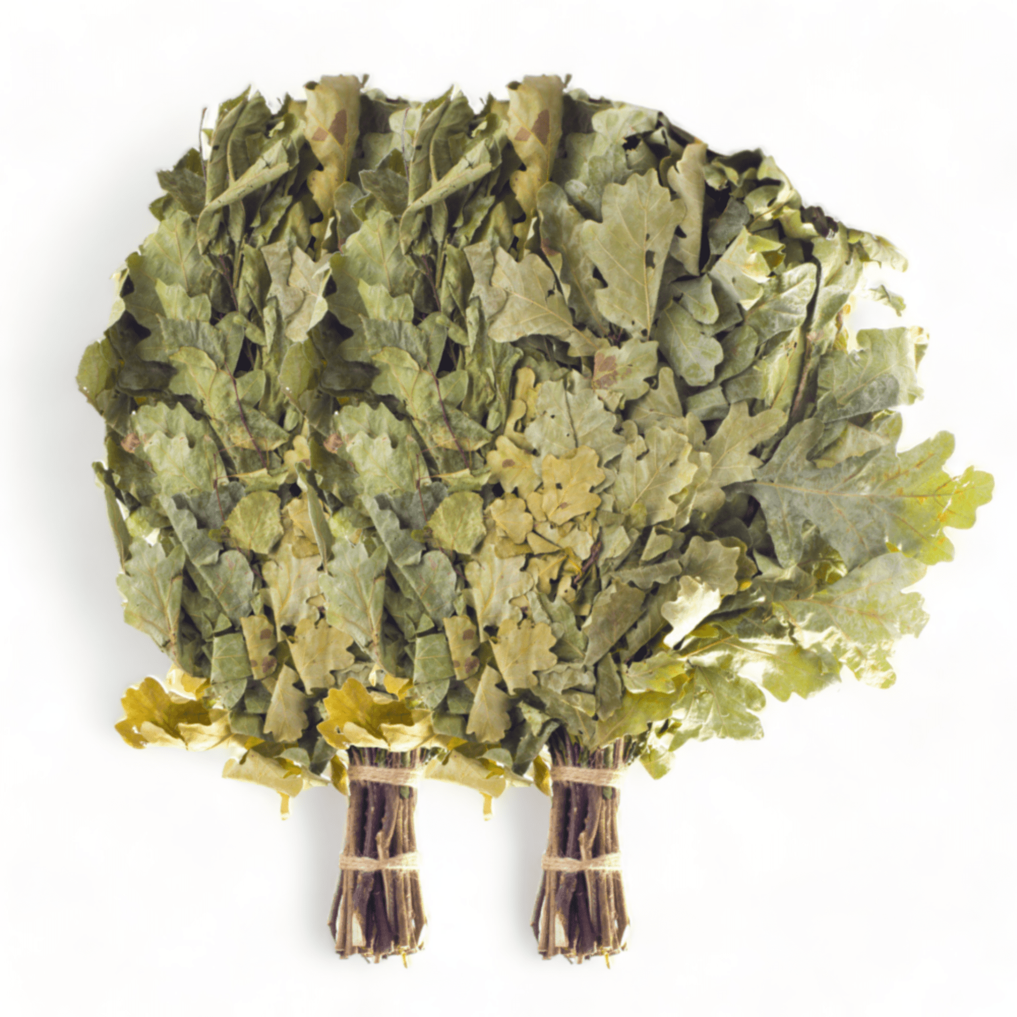 HOMEHUT Oak Leaf Sauna Whisk (Banya Venik for Massage) ,Natural wood ...