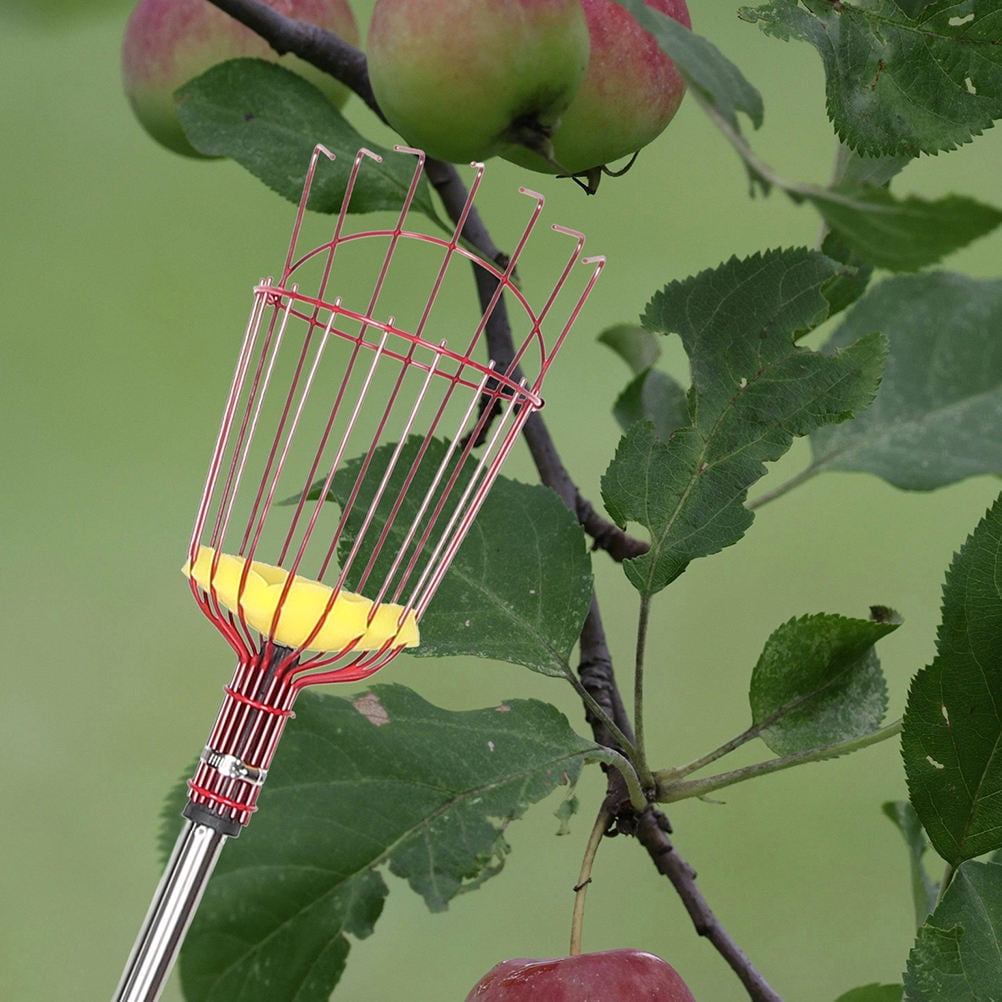 HOMEMAXS 1 Set Fruit Picker Lightweight and Easy to Store Garden Tool ...