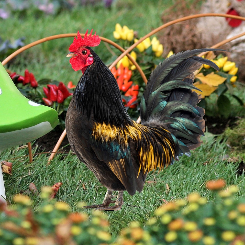 HOMEMAXS 1 Set of Acrylic Yard Rooster Signs Realistic Hen Stakes ...