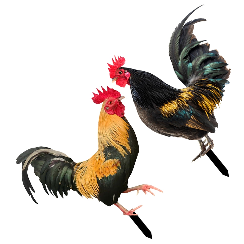HOMEMAXS 1 Set of Garden Lifelike Hen Stake Rooster Stake Signs Yard ...