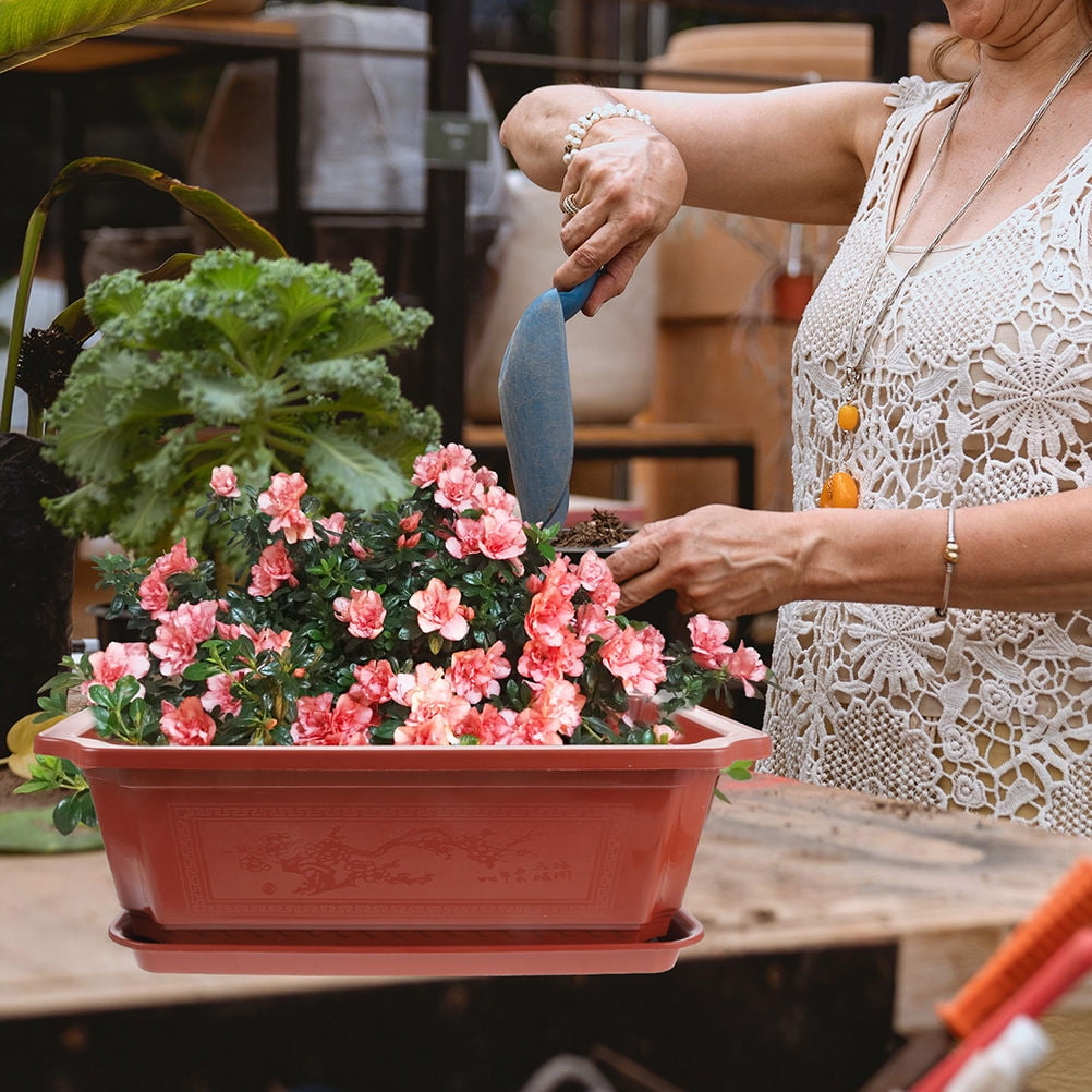 HOMEMAXS 1 Set of Large Bonsai Pots Rectangular Bonsai Training Pots ...