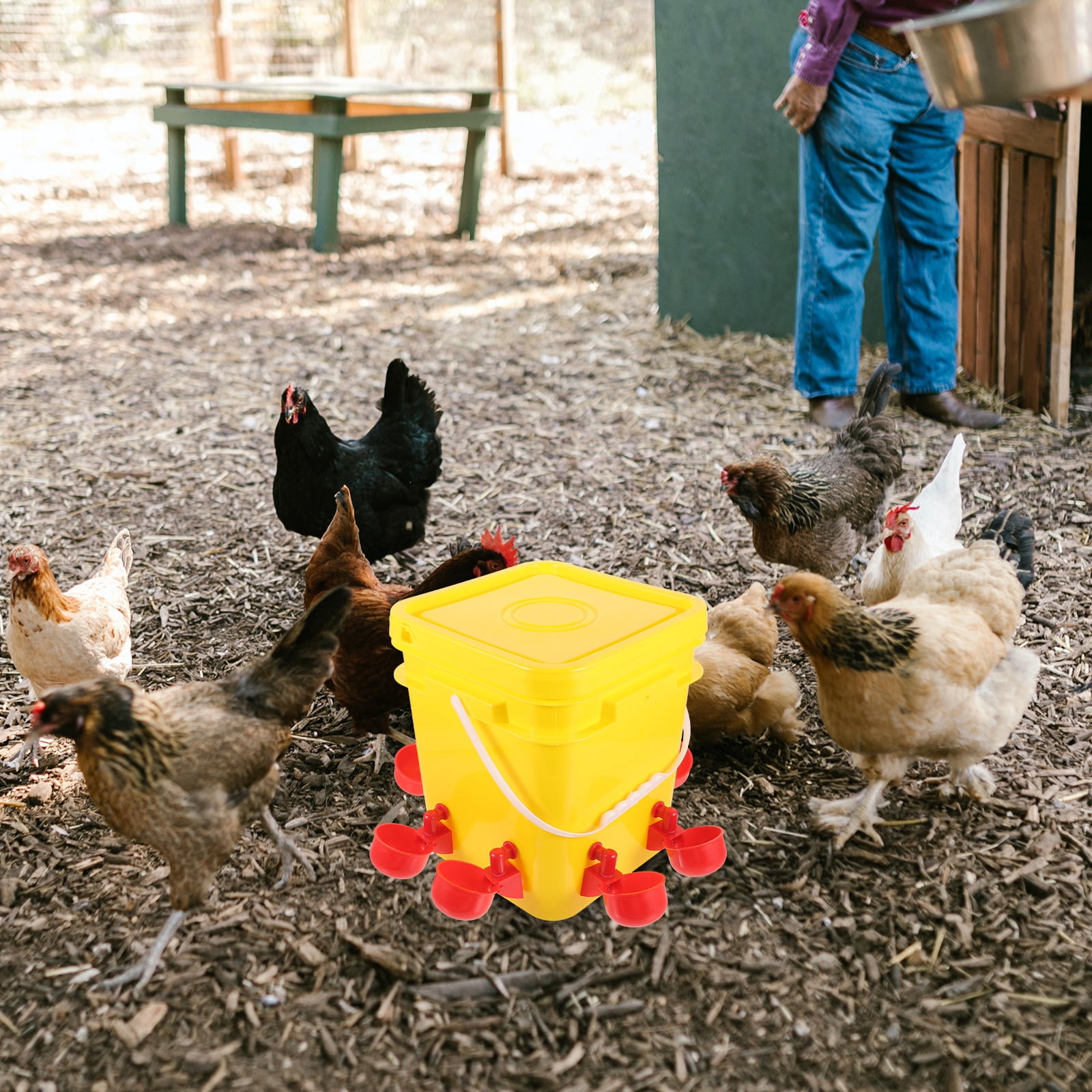 HOMEMAXS 1 Set of Plastic Chick Feeder Portable Chick Feeder Chick Food ...