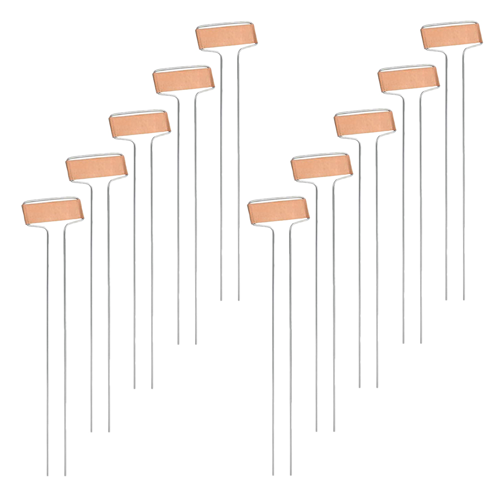 HOMEMAXS 10 Pcs Plants Seedling Classification Ground Plates 25.50X6 ...