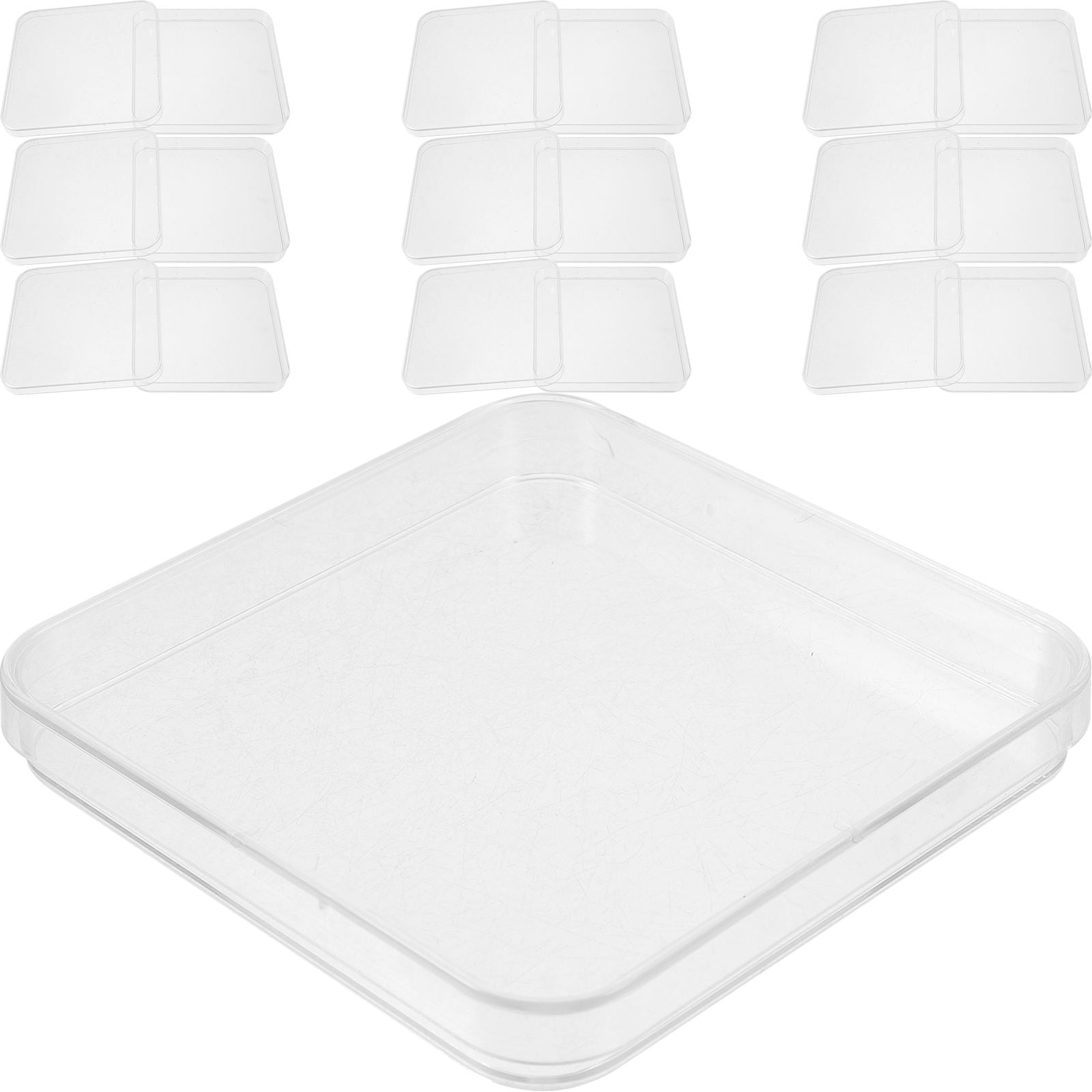 HOMEMAXS 10 Pcs Plate Disposable Petri Dish Lightweight Culture Dishes ...
