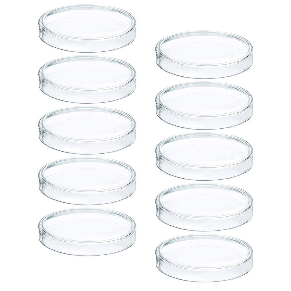 HOMEMAXS 10 Pcs Substrate Agar Plates Plastic Petri Dish 10.00X10.00X1 ...