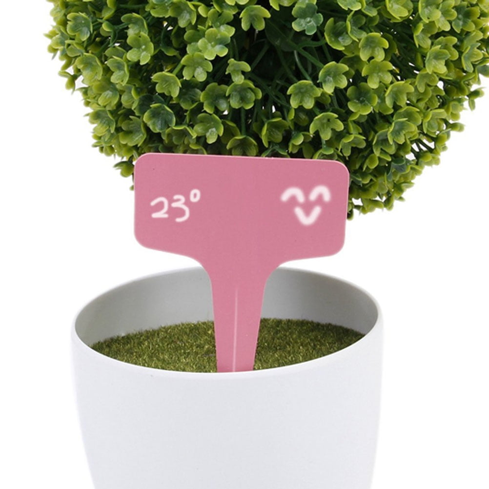 100Pcs -Shape Garden Labels for Gardeners and Hobbyists - Walmart.com