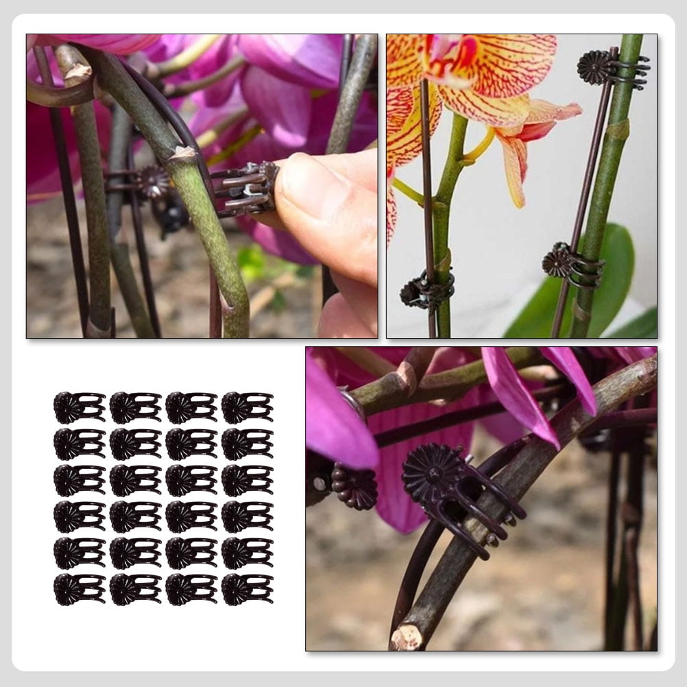 HOMEMAXS 100 Pcs Trellis Clips Hanging Plant Orchid Support Plants ...