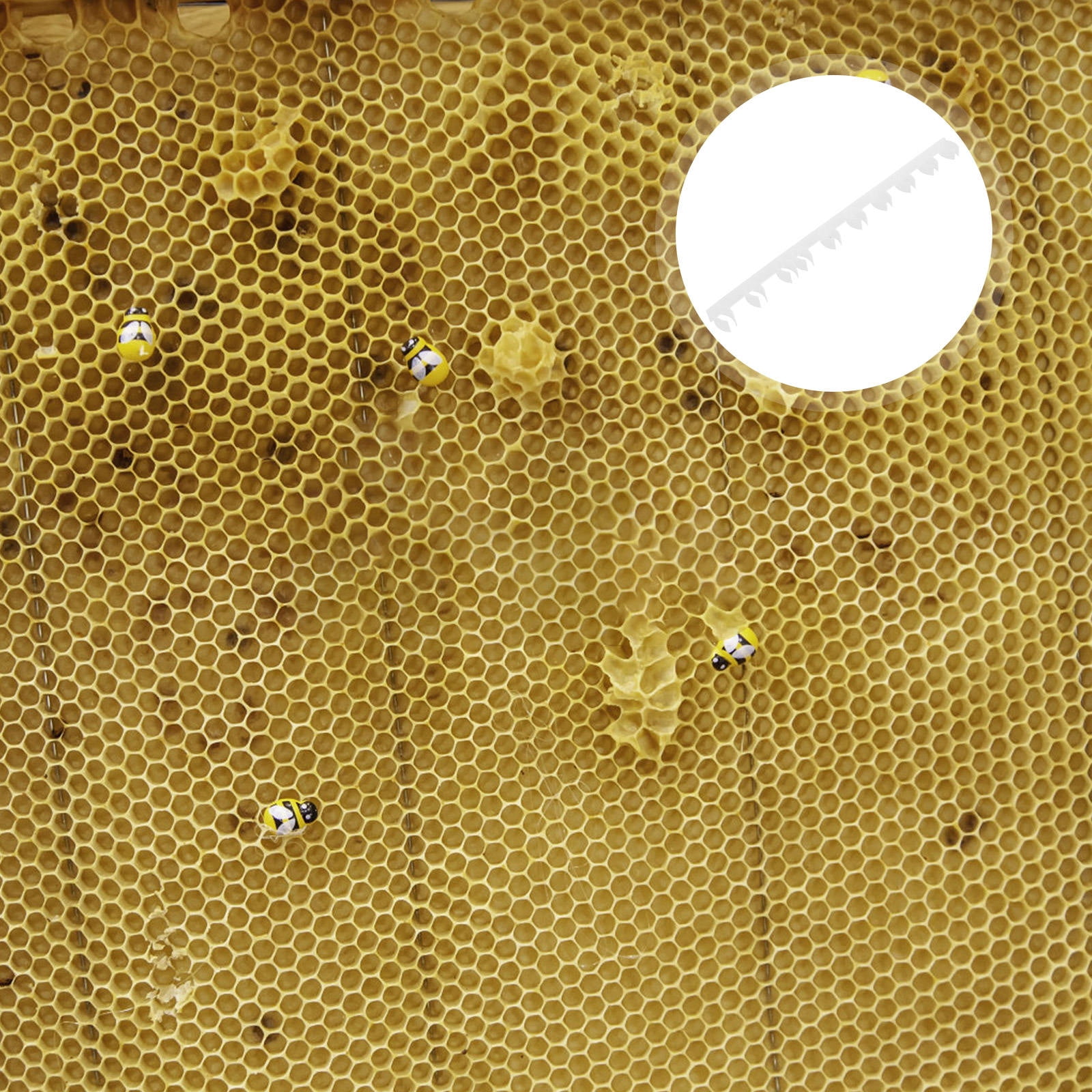 HOMEMAXS 10pcs Bee Hive Spacing Strip Bee Hive Plastic Spacers ...