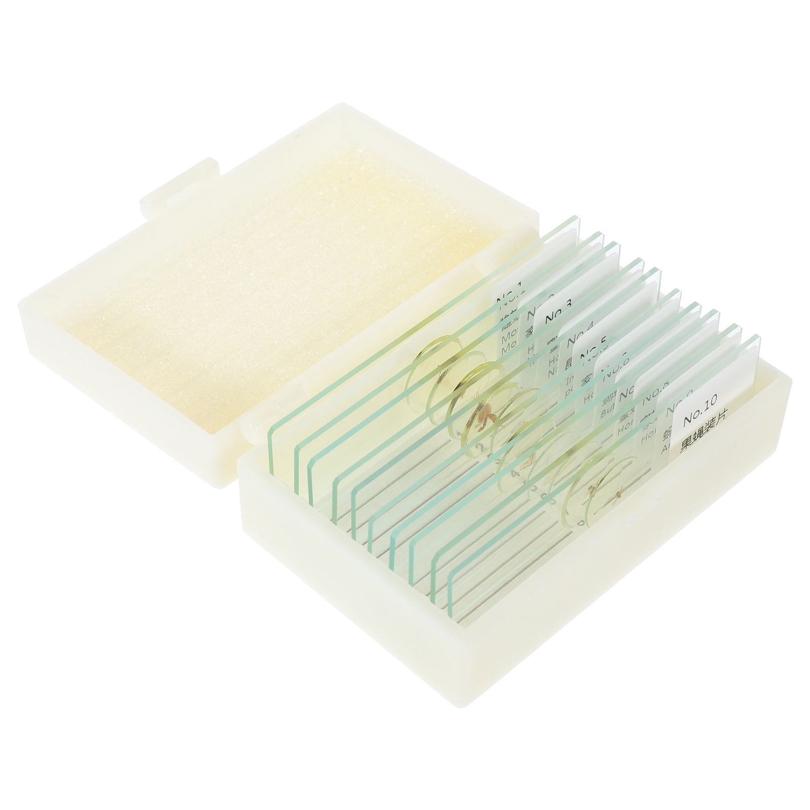 HOMEMAXS 10pcs Prepared Microscope Slides with Specimens for Kids ...