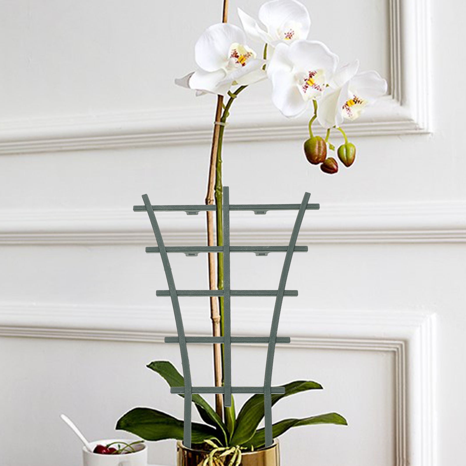 HOMEMAXS 12 Pcs Crop Cage Mini Climbing Frame Trellis for Plants ...